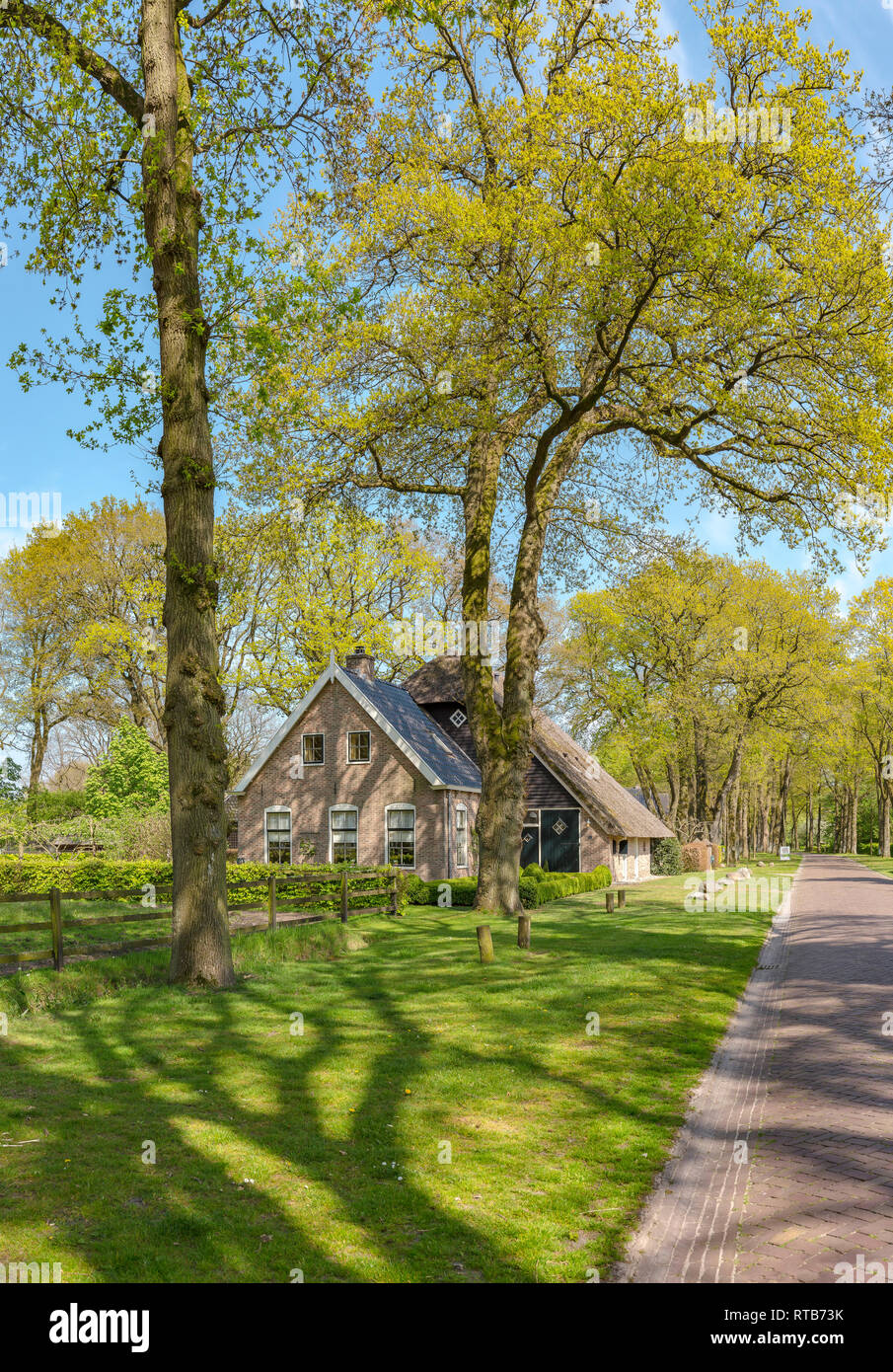 Farmhouse with trees all around Stock Photo - Alamy