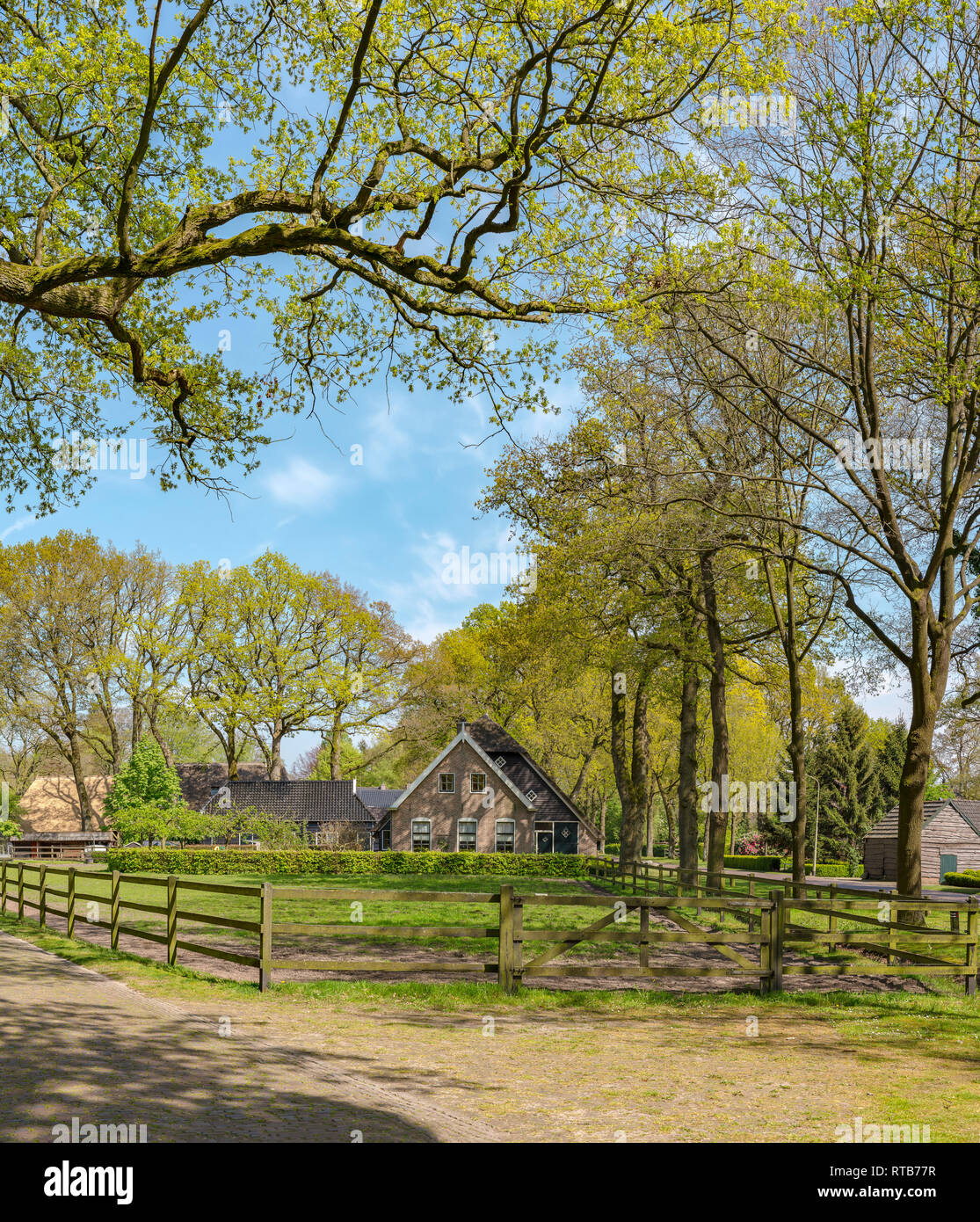 Farmhouse with trees all around Stock Photo - Alamy
