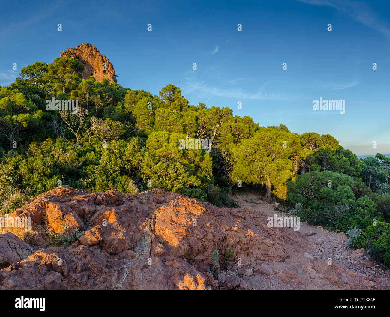 sea coast of cape dramont, Dramont, Provence, France Stock Photo - Alamy