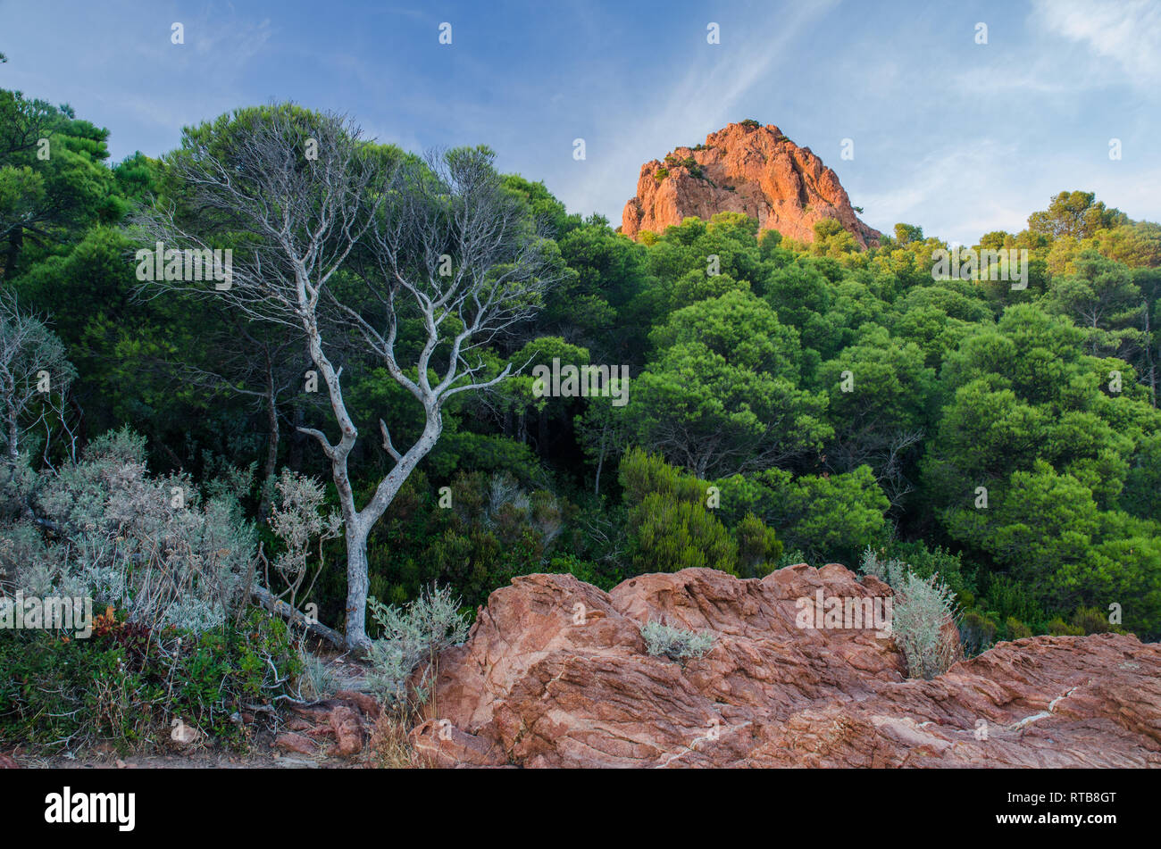 sea coast of cape dramont, Dramont, Provence, France Stock Photo - Alamy