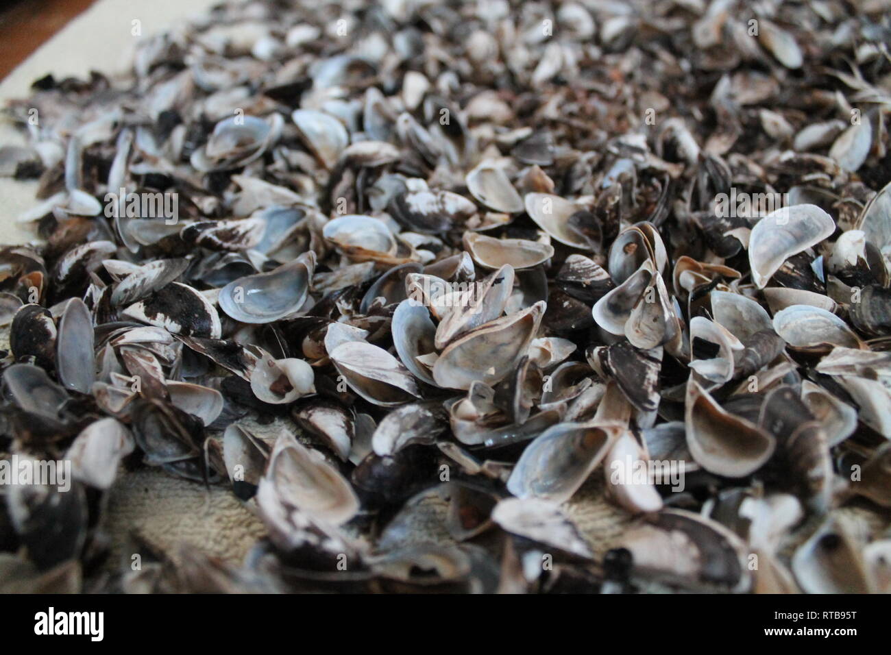 Fragile ocean hi-res stock photography and images - Alamy