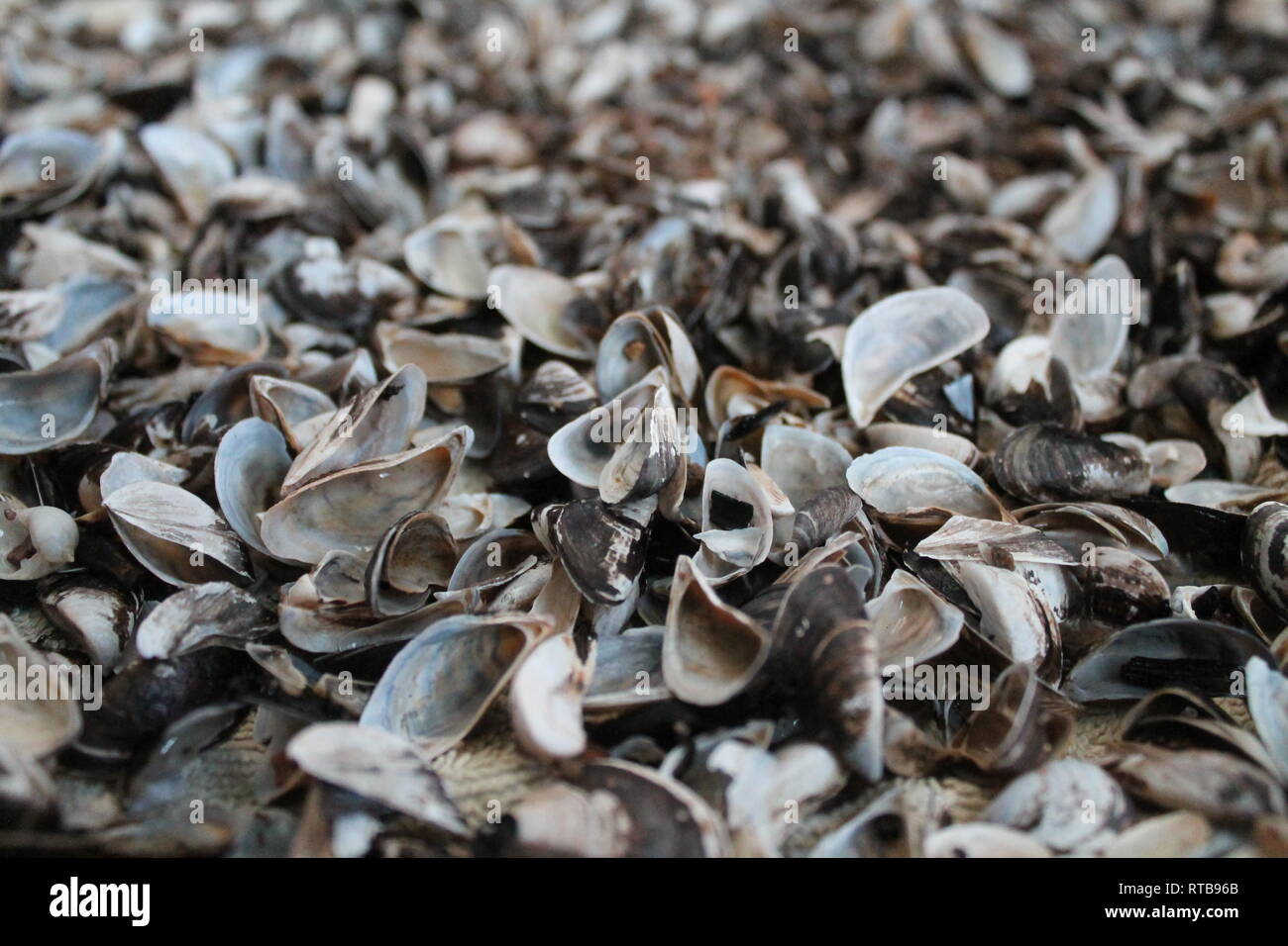 Fragile ocean hi-res stock photography and images - Alamy