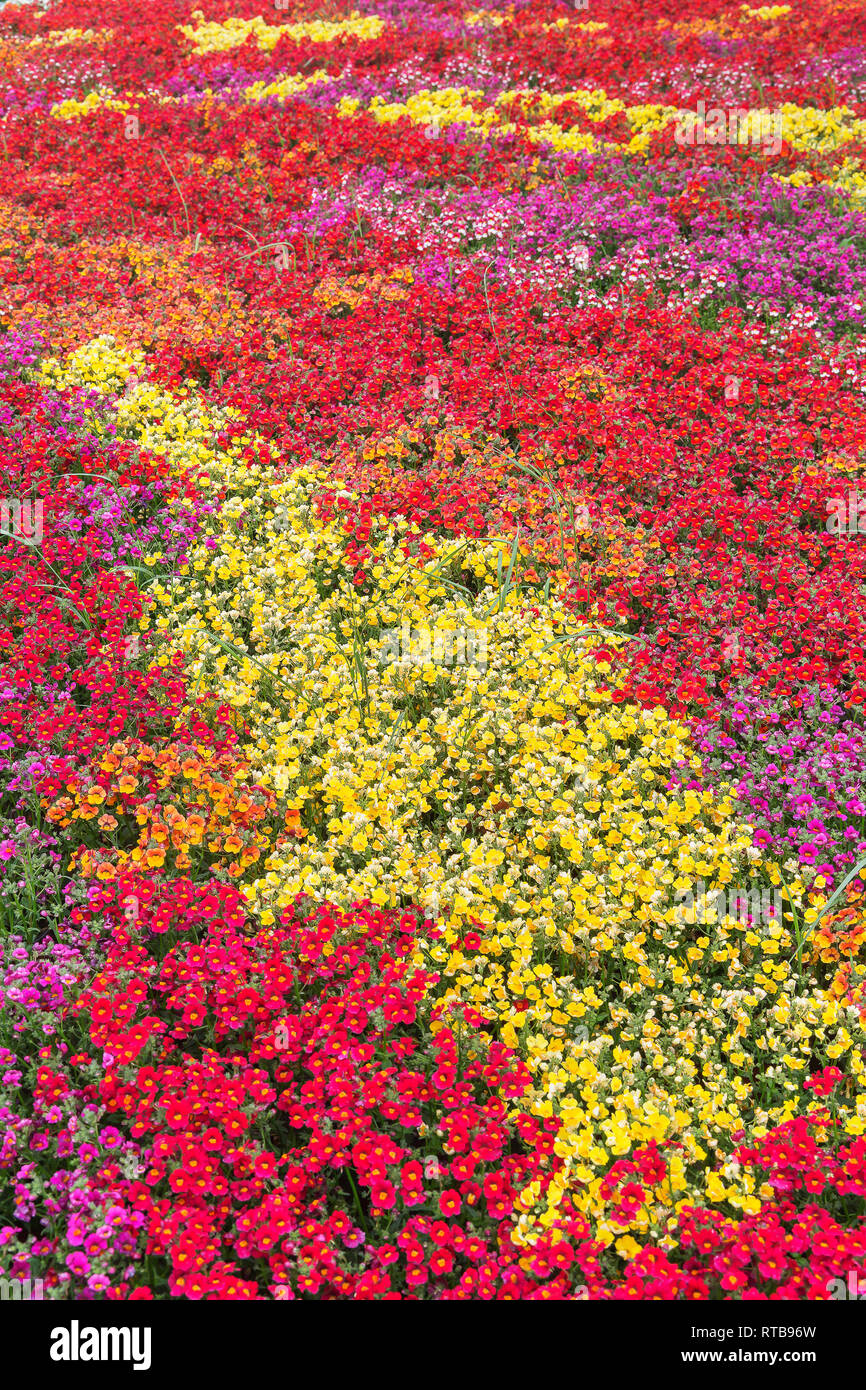 Full colur hi-res stock photography and images - Alamy