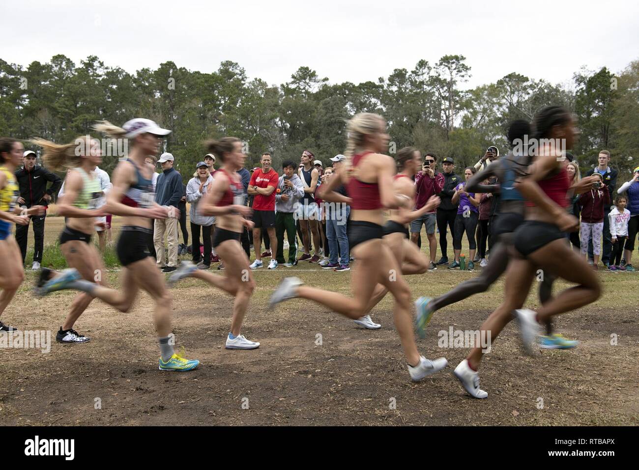 Spectators view, cheer, and take pictures of the 2019 Armed Forces ...