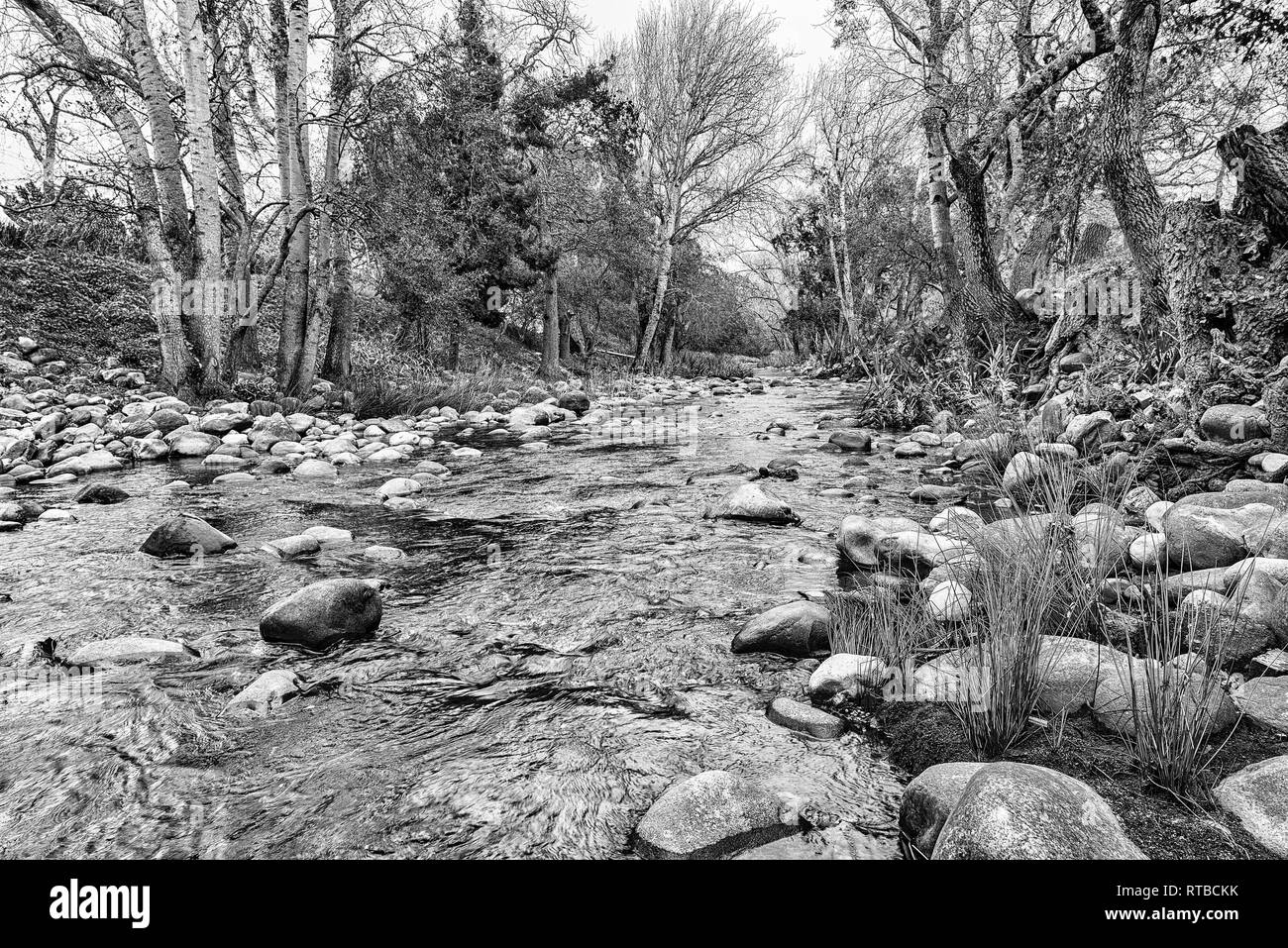 A view of the Eerste River in Stellenbosch in the Western Cape Province ...