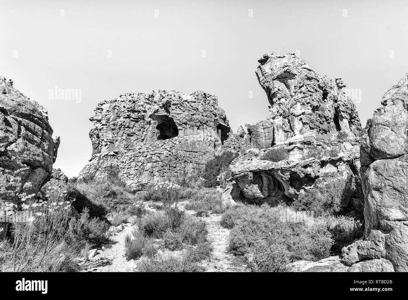 Rock formations and wild flowers at the Stadsaal Caves and Rock Art ...