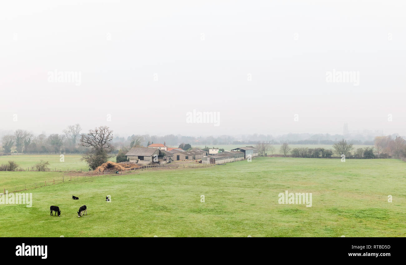 Rural scene with farmhouses and donkeys grazing in fields with minster ...