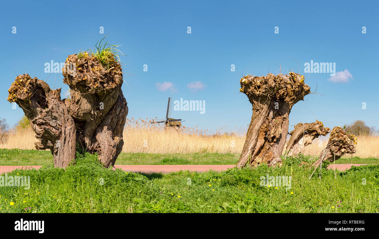 Groundsailer windmill called De Ambachtsmolen Stock Photo - Alamy