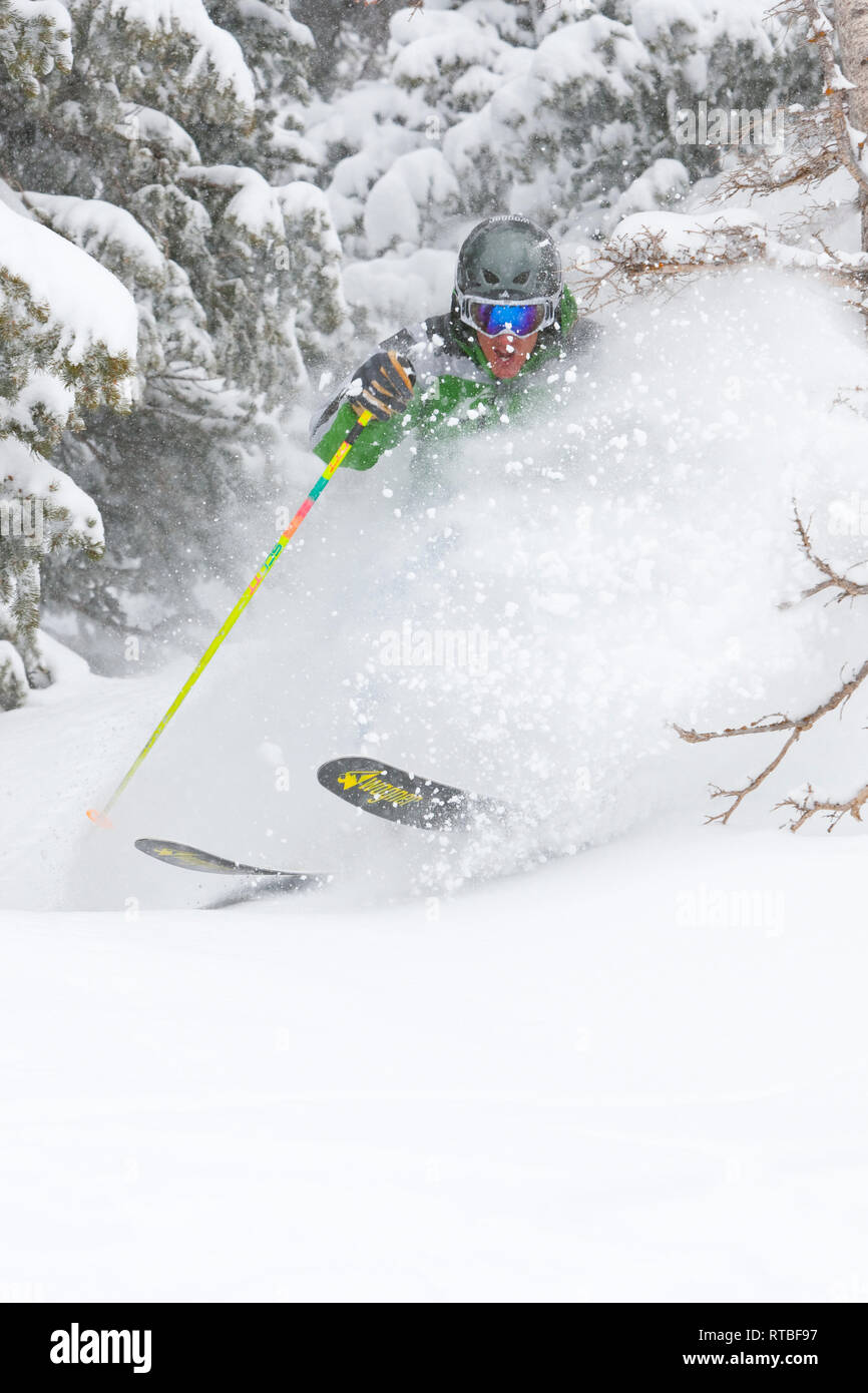 Snow Skiing action Stock Photo - Alamy