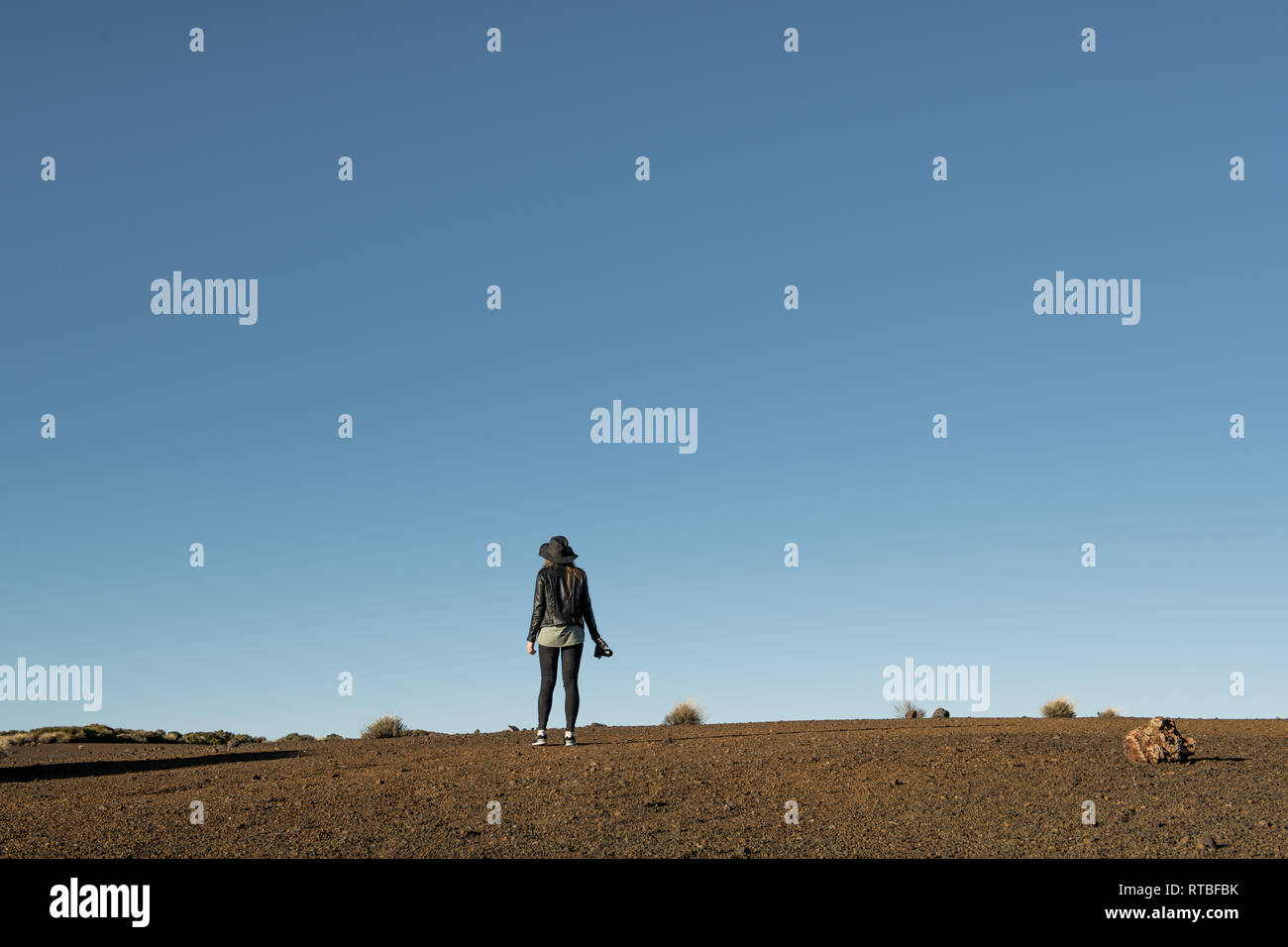 Back view of female photographer standing with camera and looking at ...