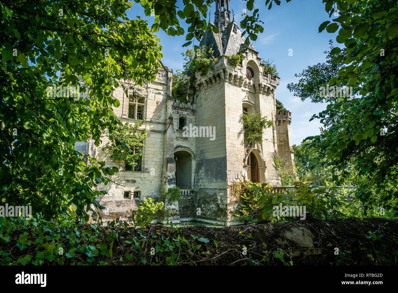Old castle lost in the forest with trees inside Stock Photo - Alamy