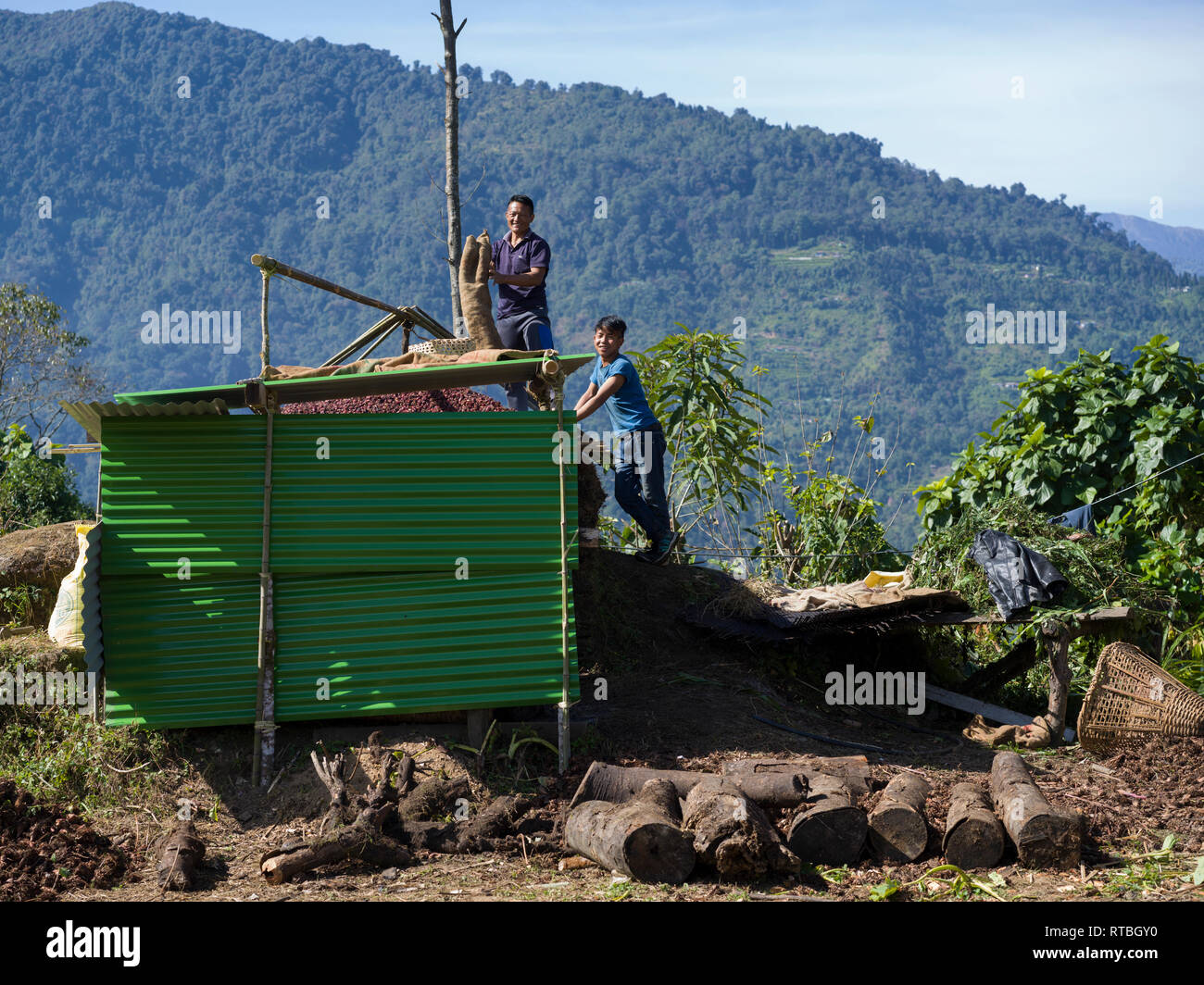 Farmers storing crop, Hee Patal, West Sikkim, Sikkim, India Stock Photo ...