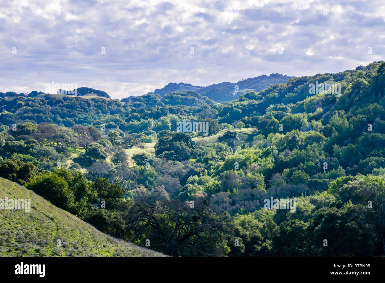 The hills and valleys of Briones Regional Park, Contra Costa county ...