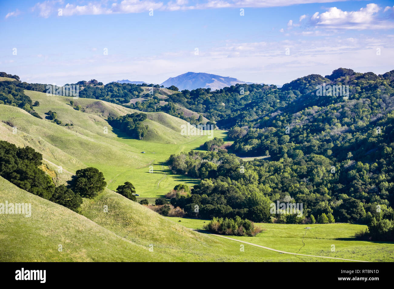 Valley in Briones Regional Park; Mount Diablo in the background, Contra ...