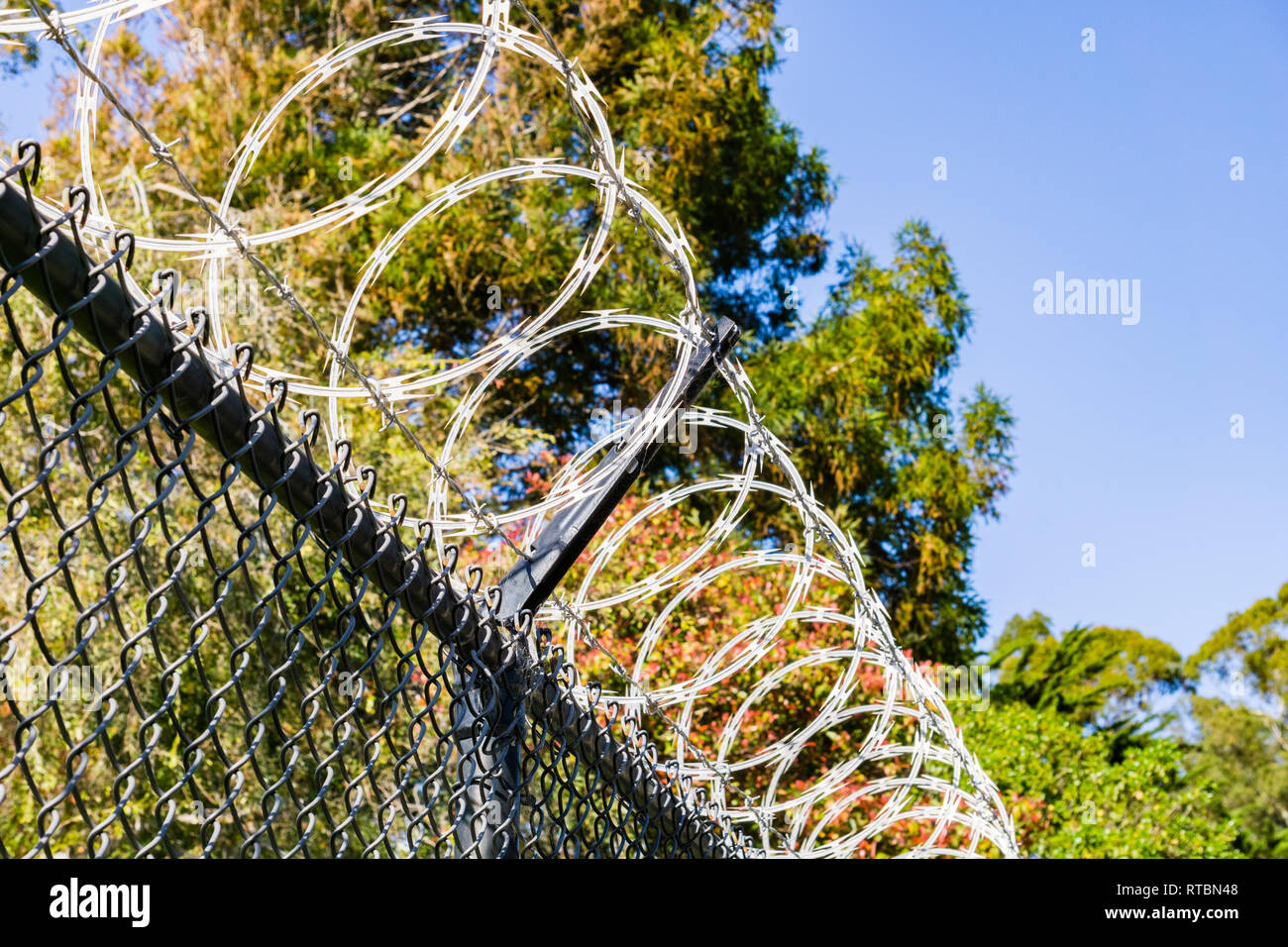 Razor barbed wire security fence, California Stock Photo - Alamy