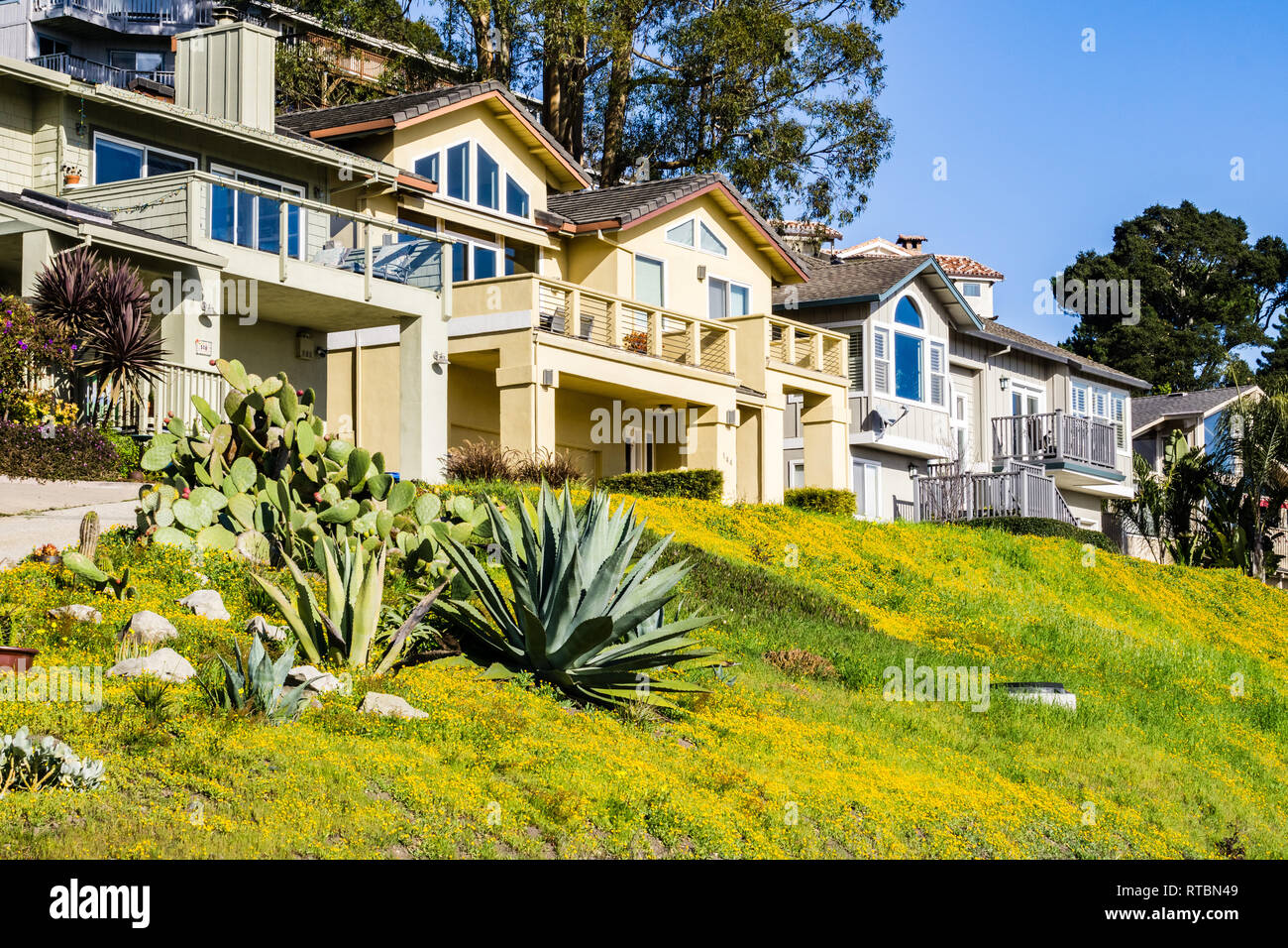 Residential street, Santa Cruz, California Stock Photo - Alamy