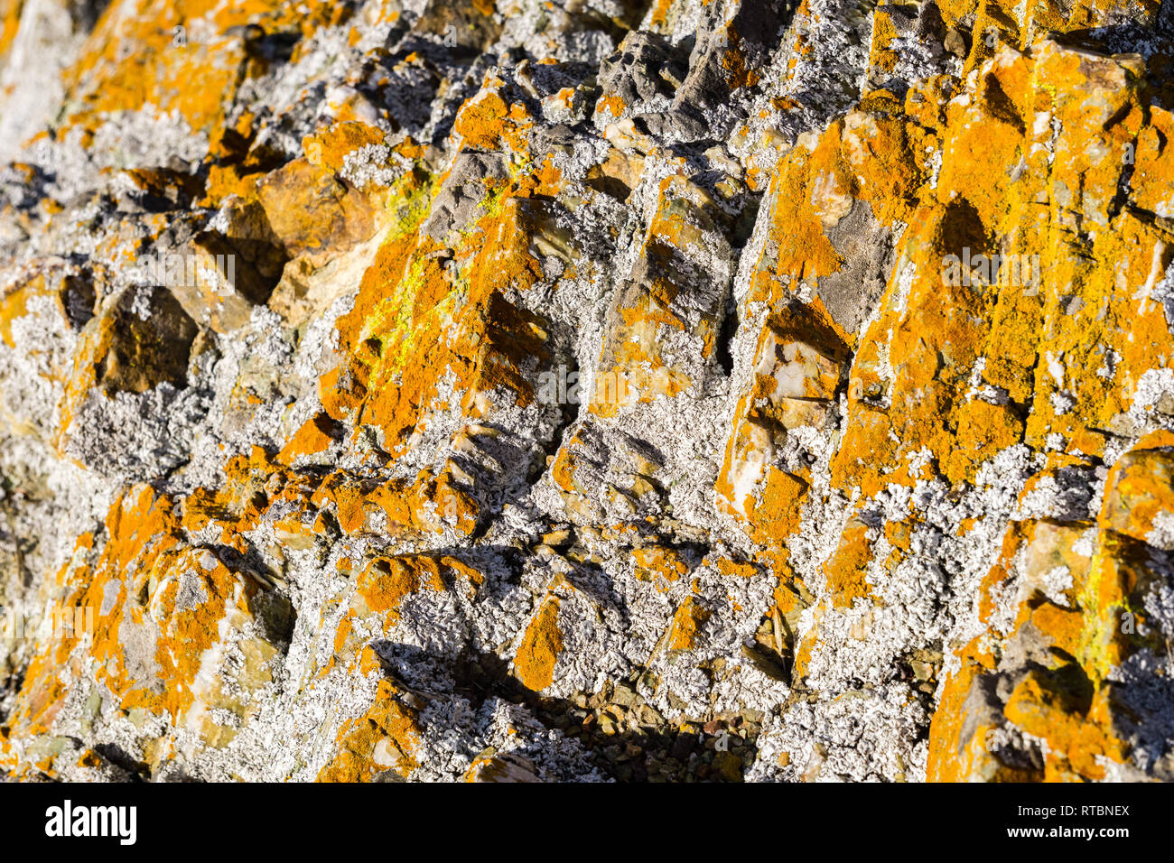 Rock covered in yellow moss hi-res stock photography and images - Alamy
