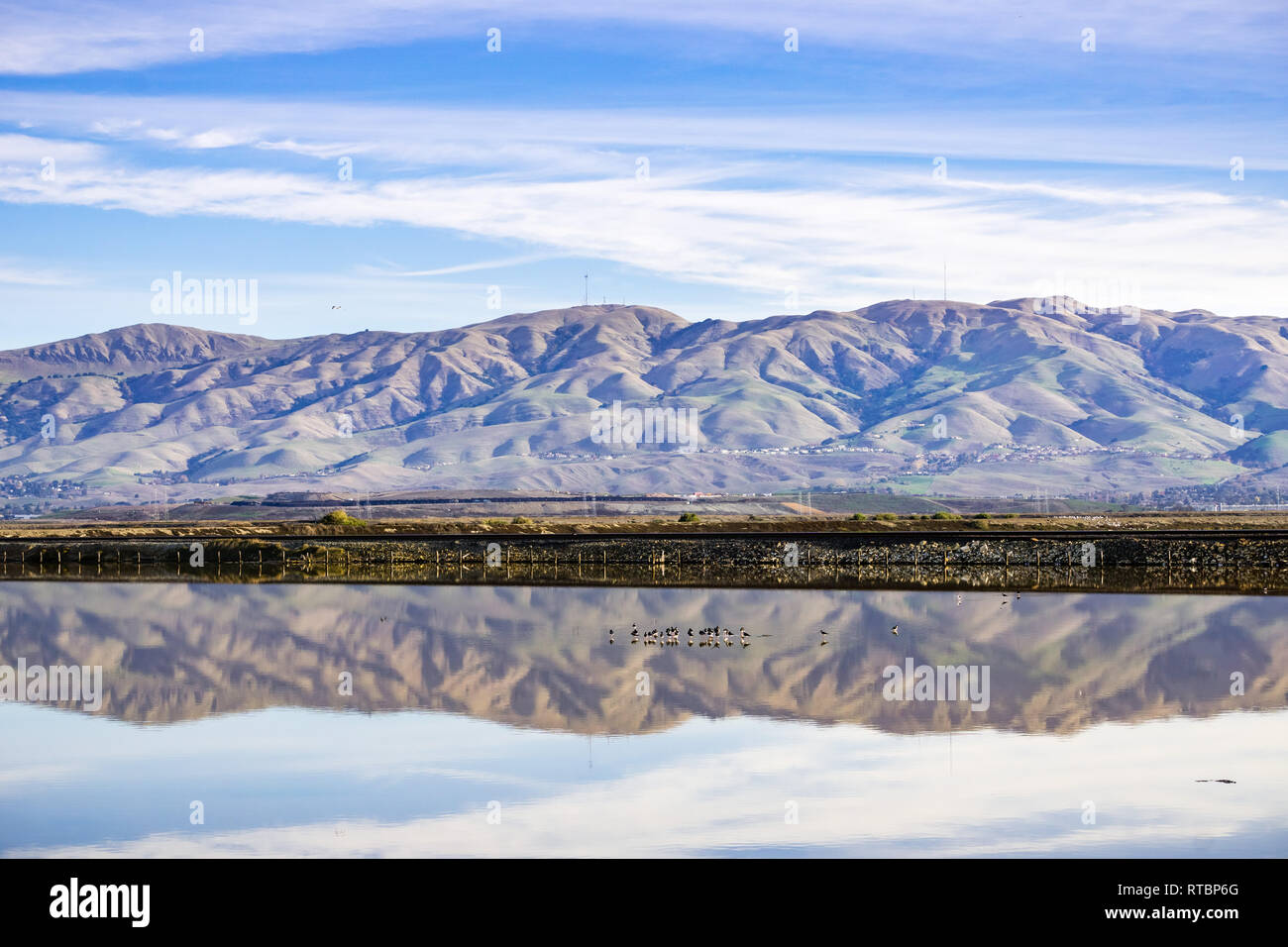 Swamp train tracks hi-res stock photography and images - Alamy