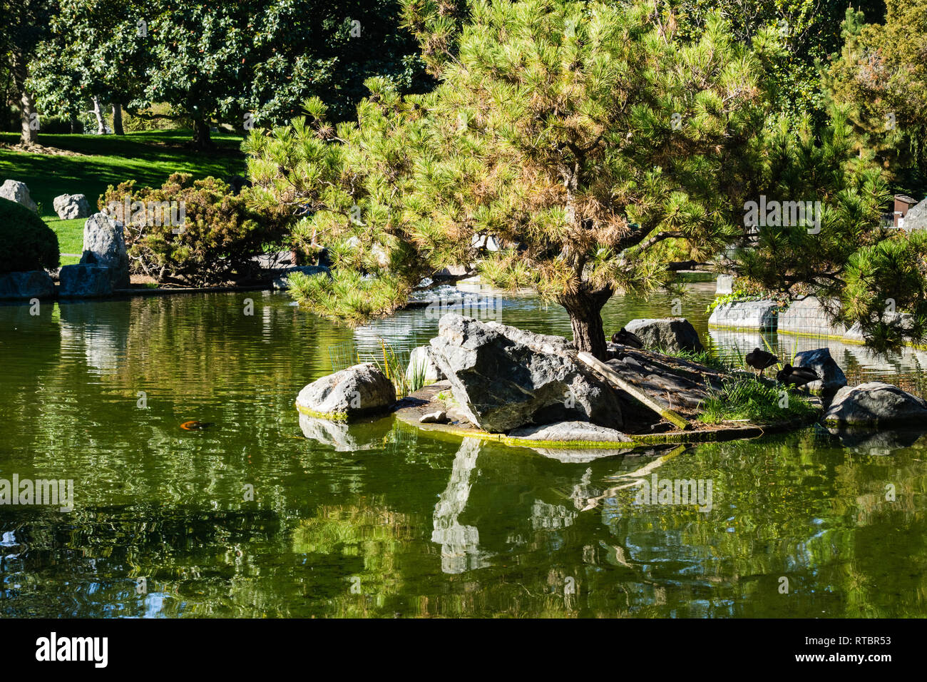 Pond man made landscaping hi-res stock photography and images - Alamy