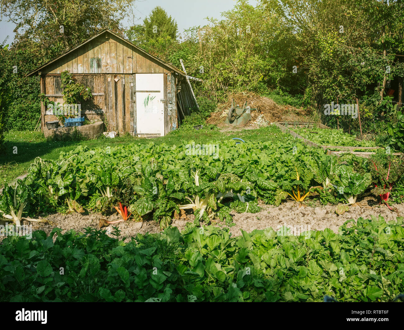 Potager Kitchen Garden High Resolution Stock Photography and Images - Alamy