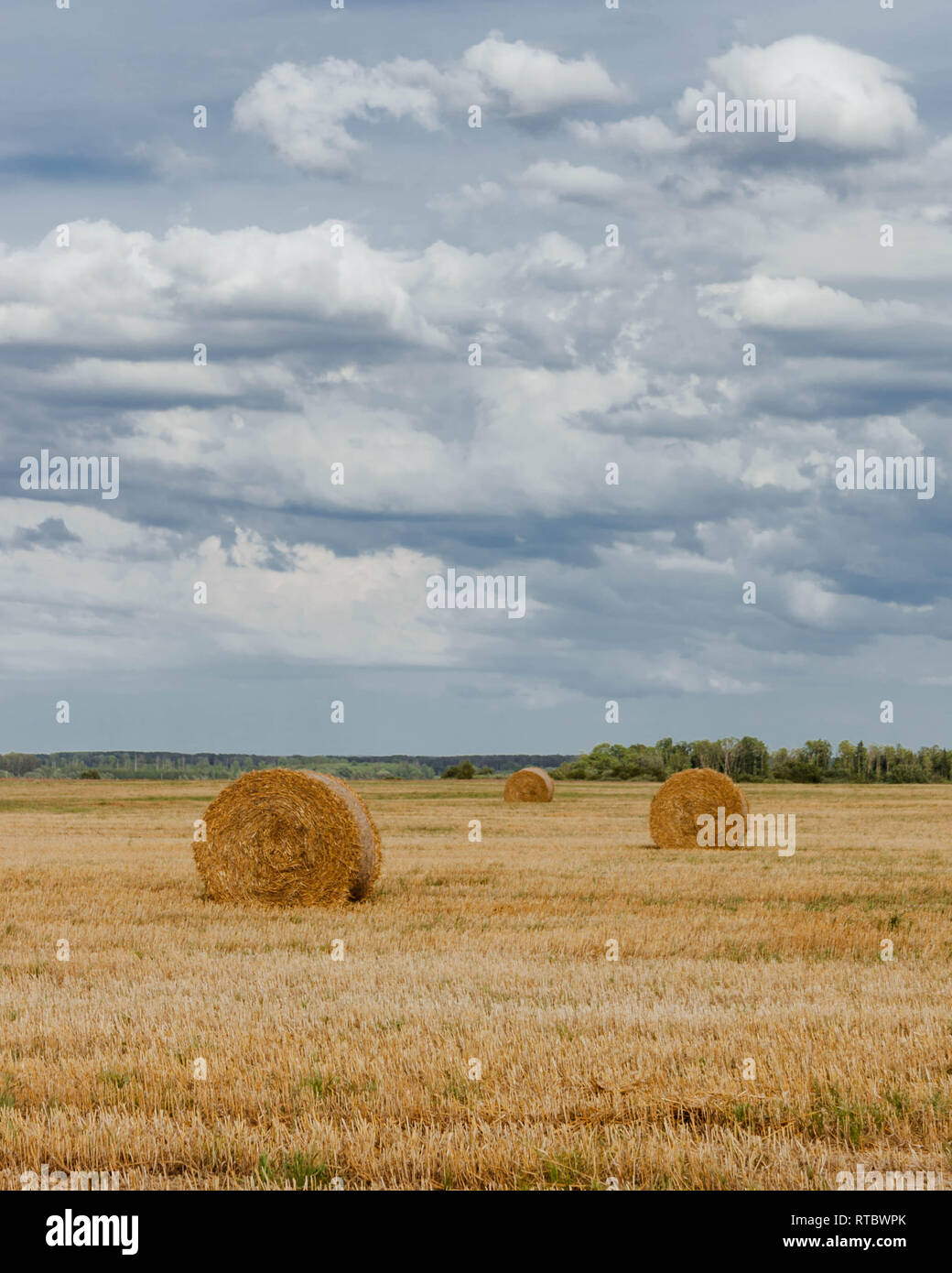 Harvested crop field hi-res stock photography and images - Alamy