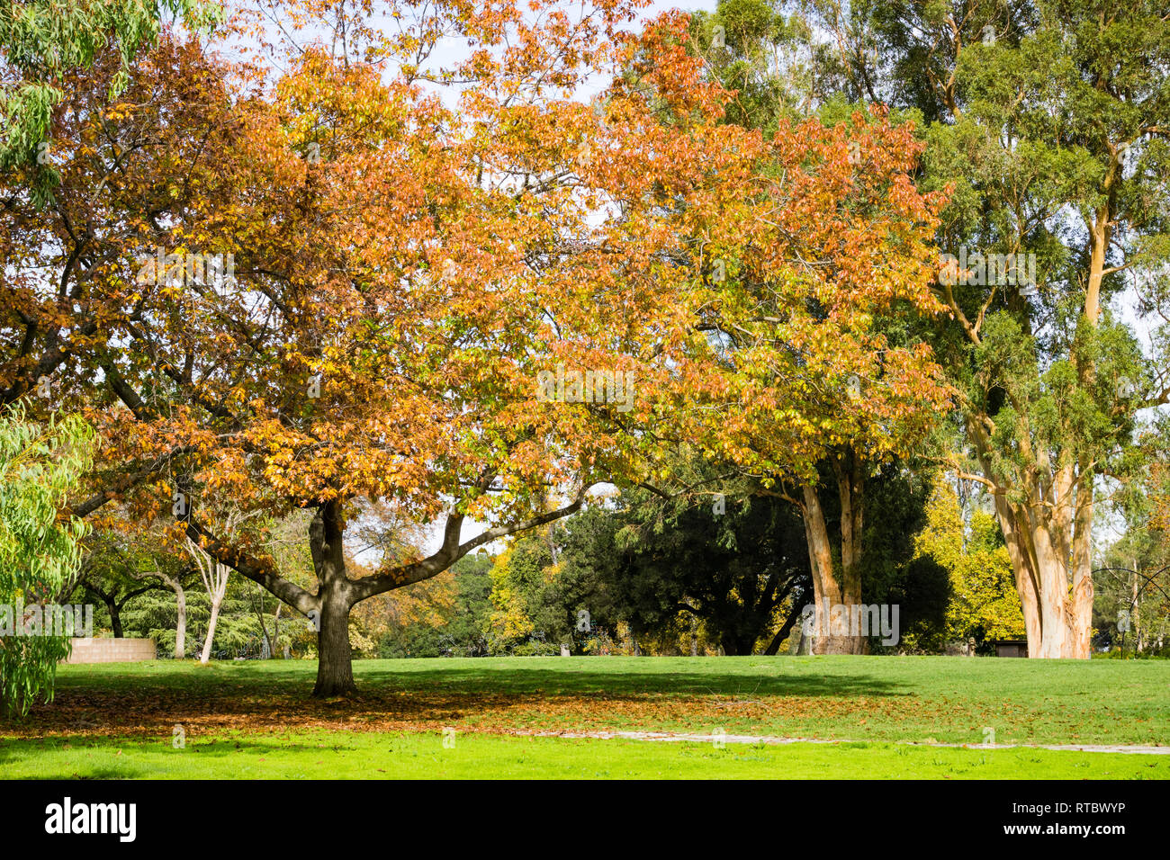 Vasona county lake park hi-res stock photography and images - Alamy