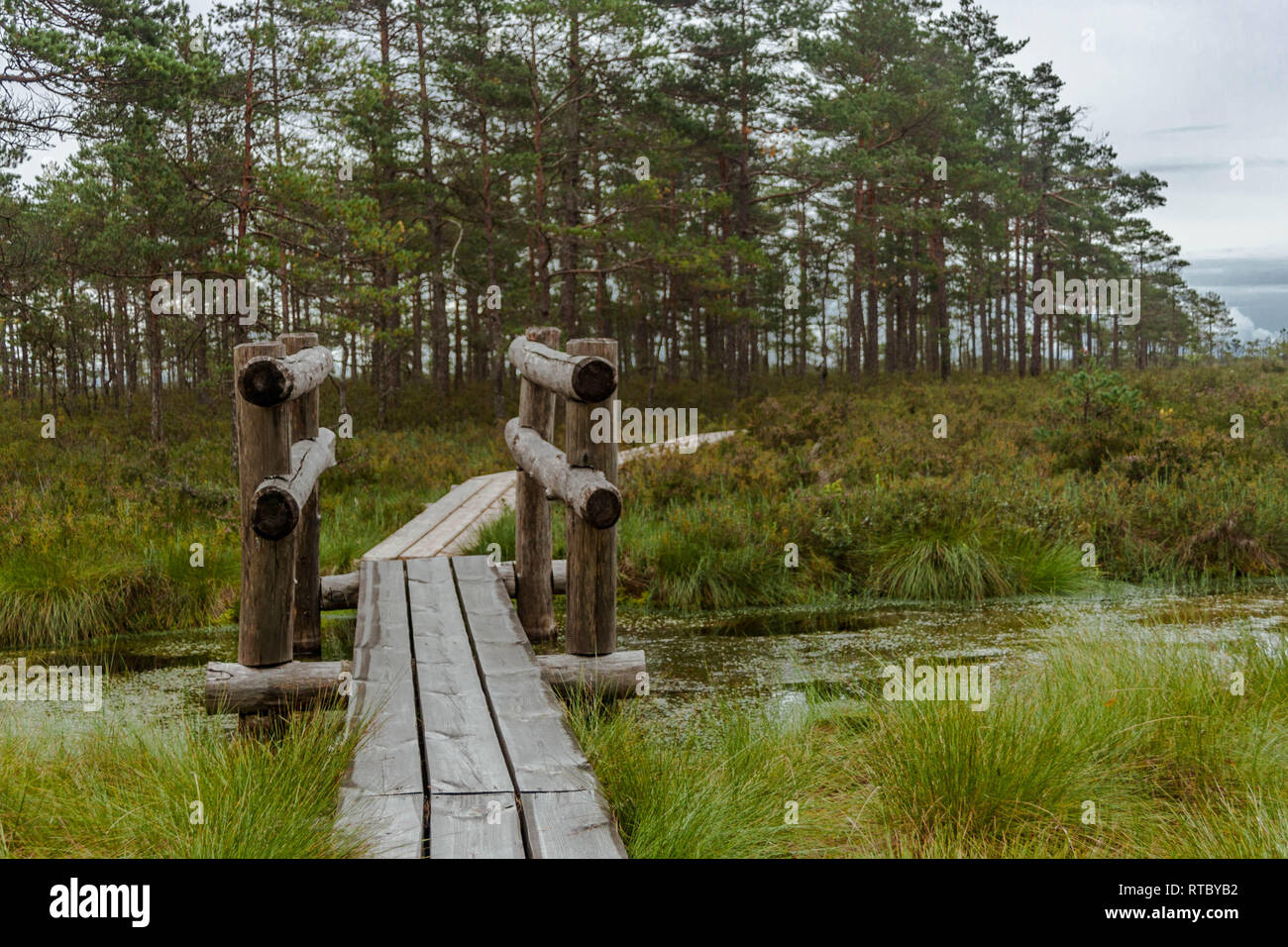 Bog trail hi-res stock photography and images - Alamy