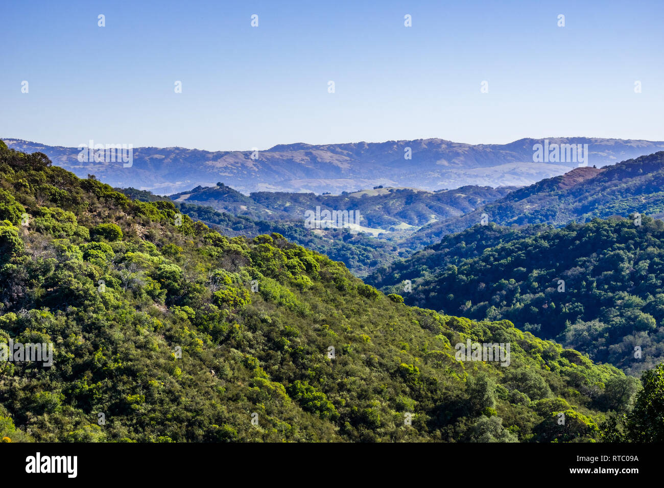 Green Hills in Calero County Park, California Stock Photo - Alamy