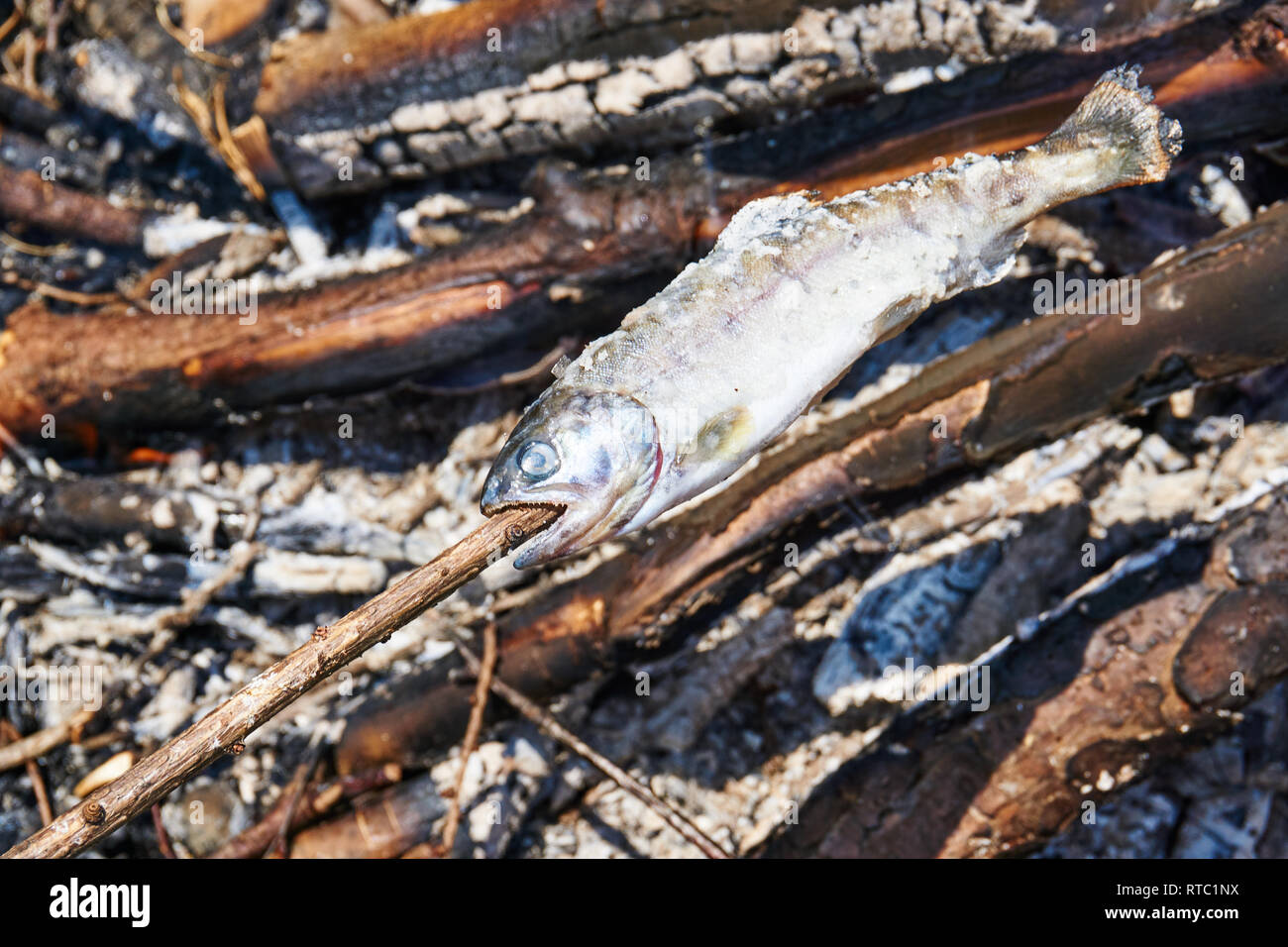 A small, salted riverfish (shioyaki-style sweetfish) is cooked over a ...