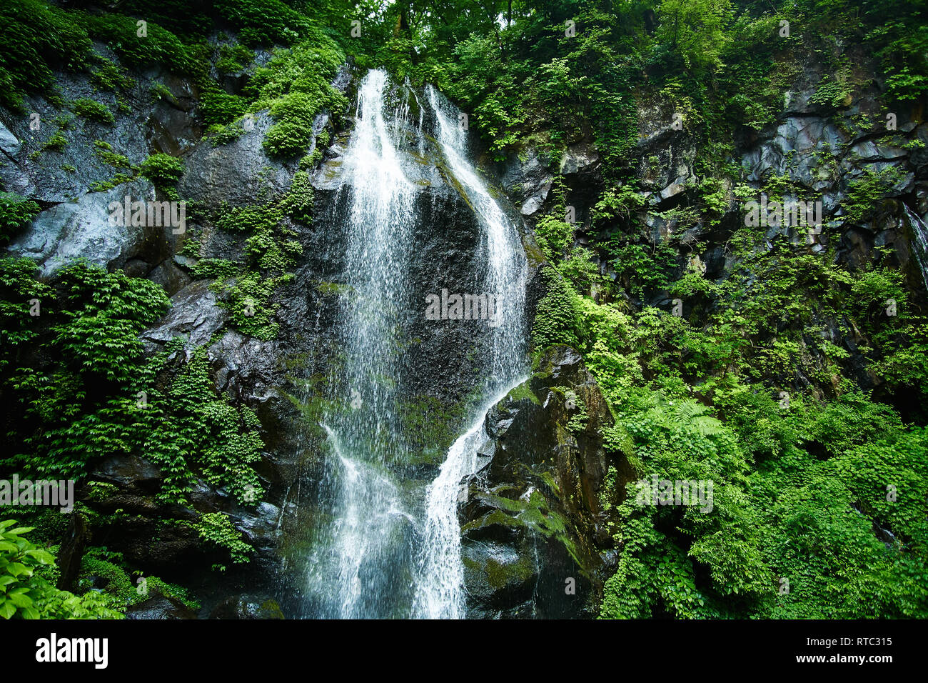 A waterfall cascades over rocks, moss, and other greenery down a sheer ...