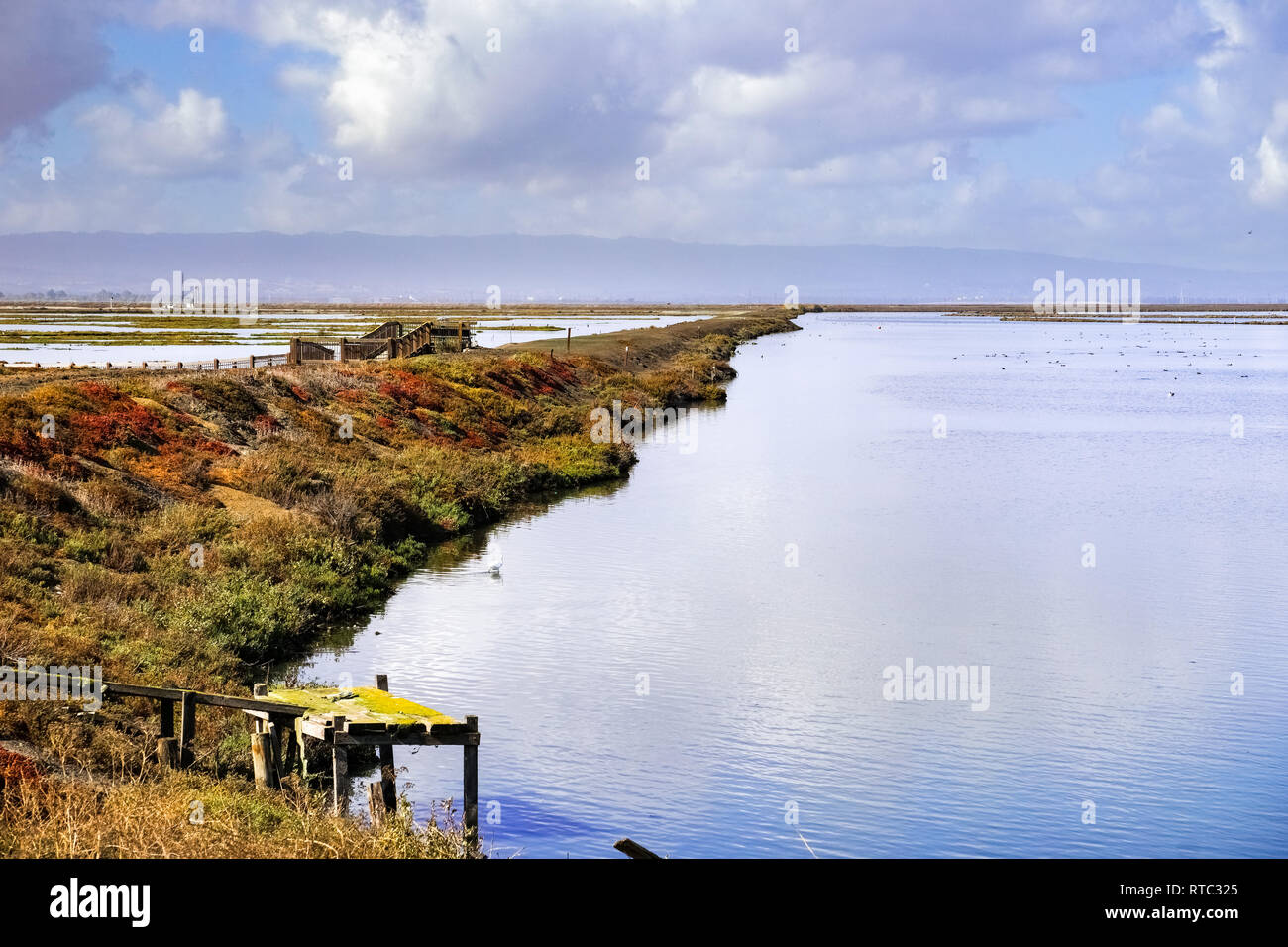 Alviso marsh hi-res stock photography and images - Alamy