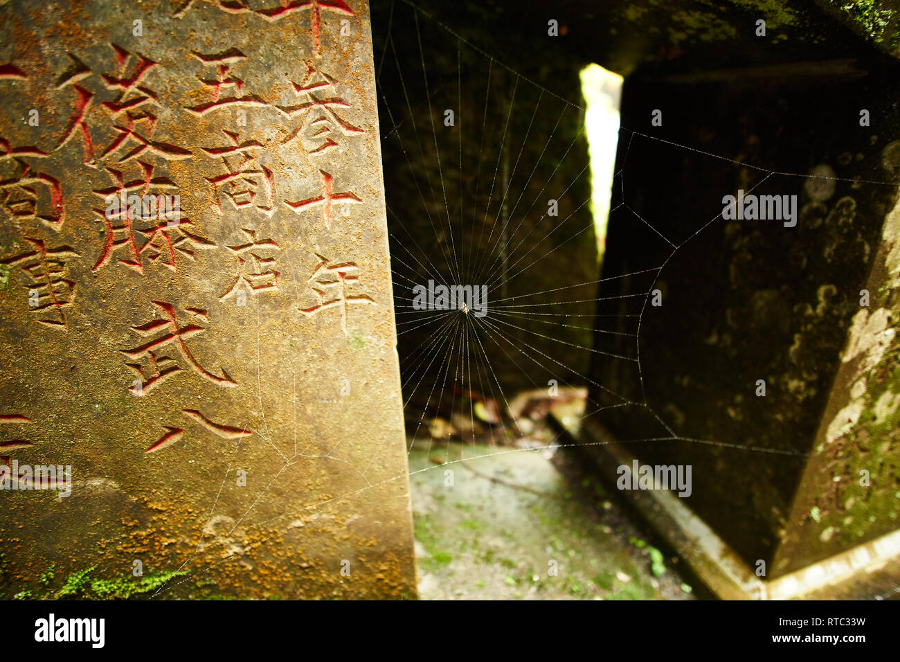 Dewdrops on a spider web stand out against a backdrop of engraved stone ...