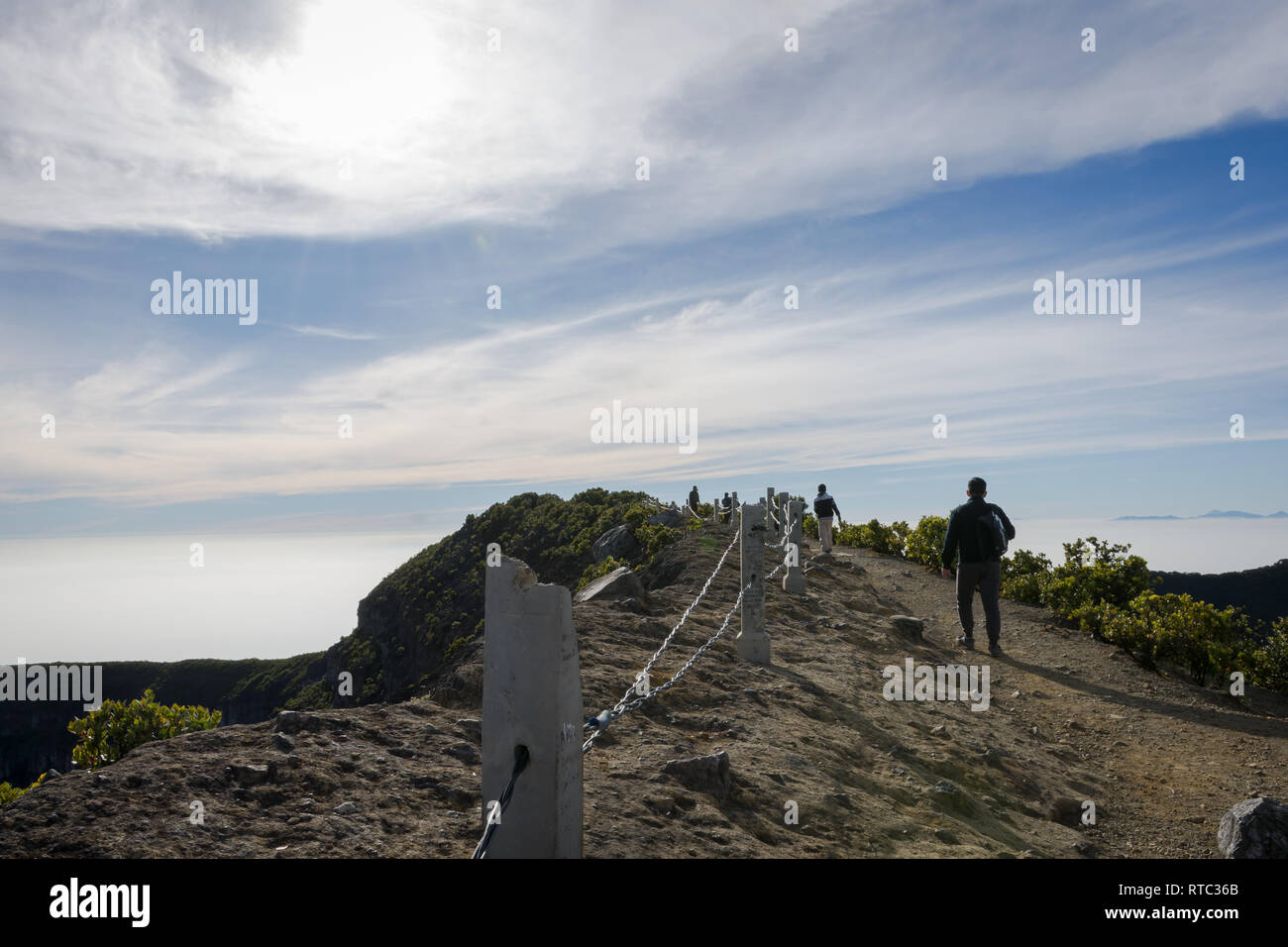 Beautiful scenery on the summit of Mount Gede Pangrango with several ...