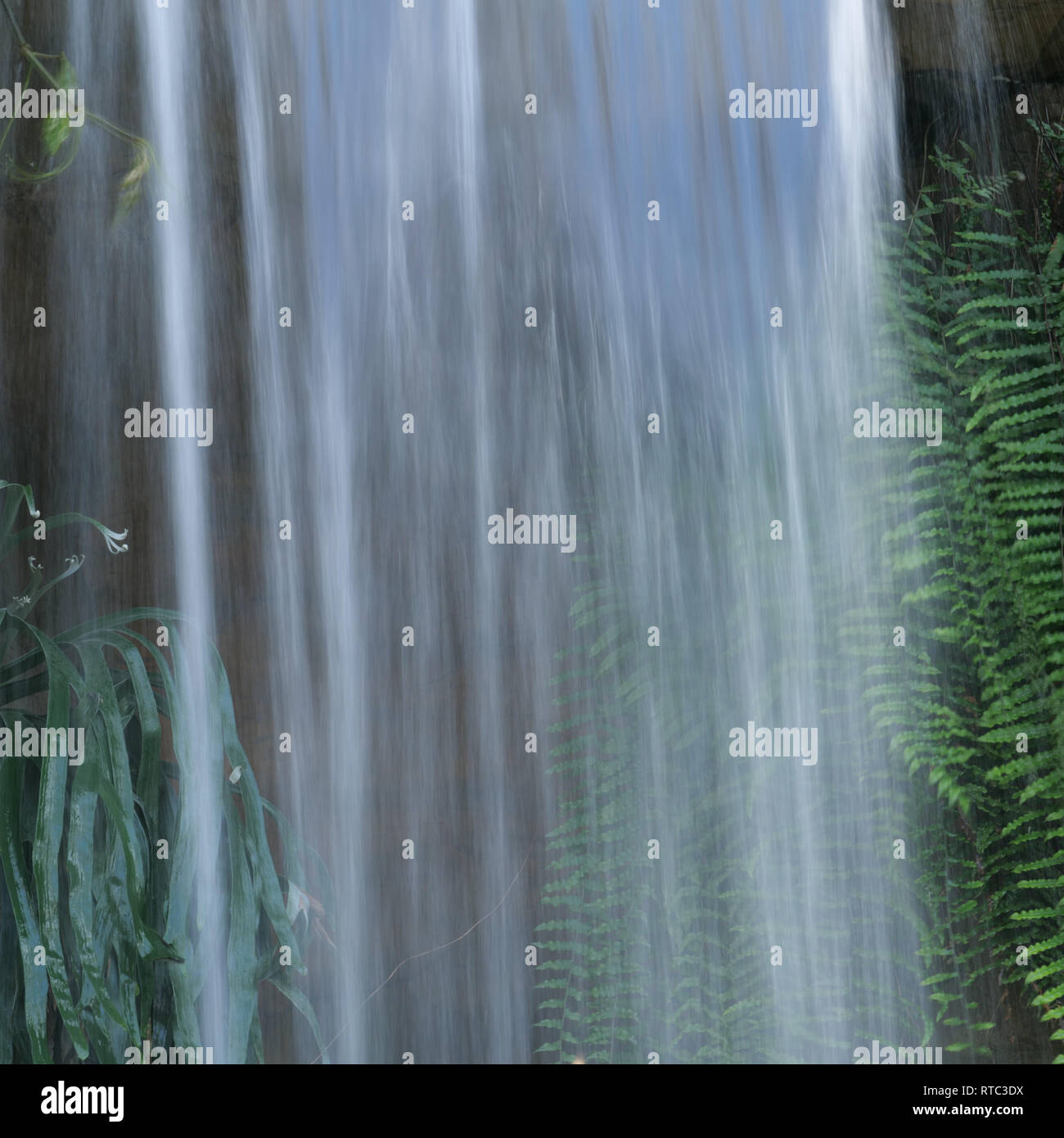 Sheet of water coming down into a pool, in this indoor waterfall in a ...