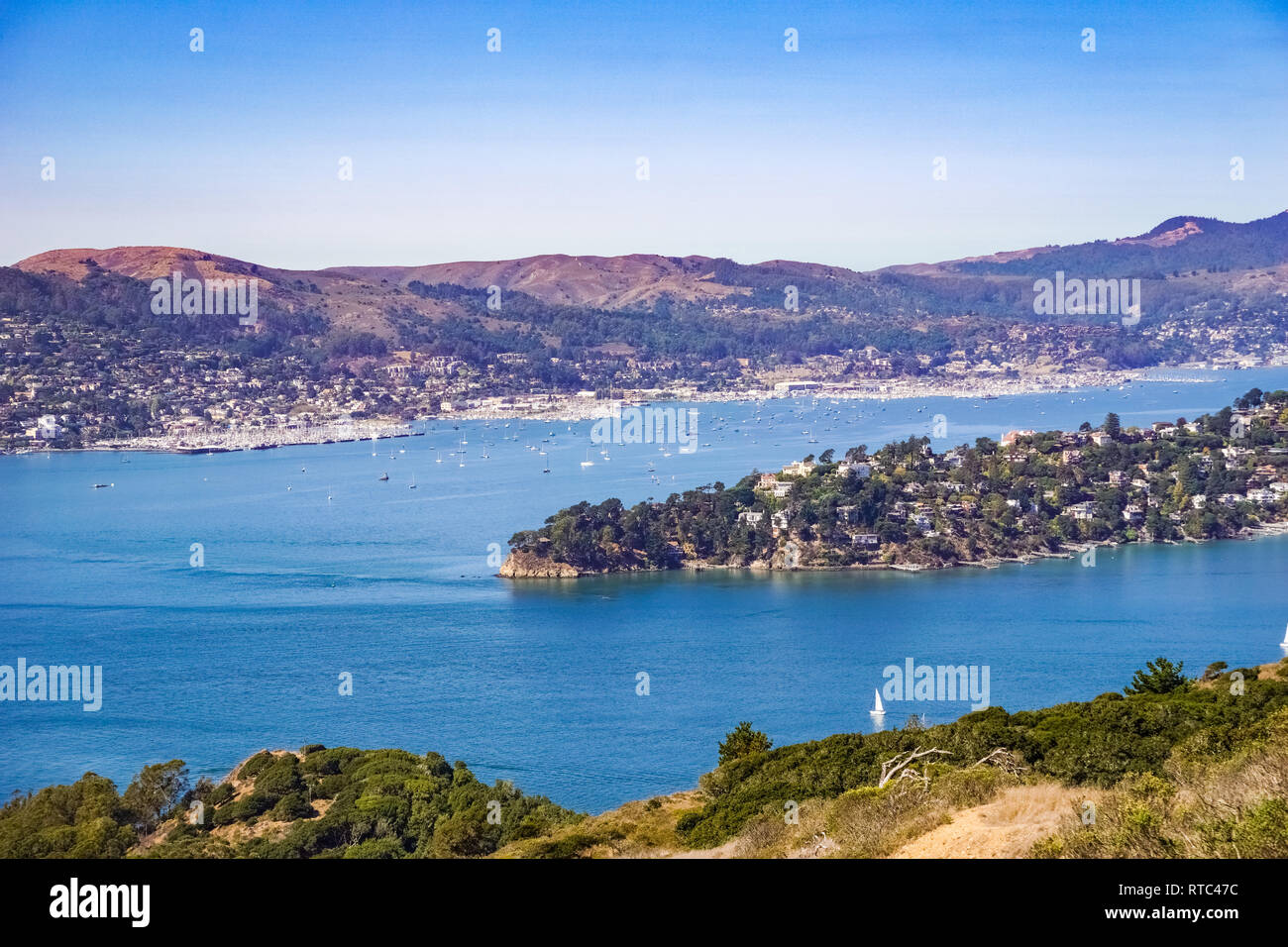 Tiburon island hi-res stock photography and images - Alamy