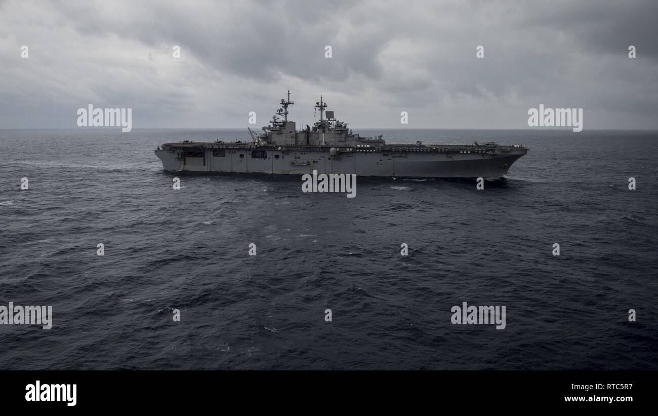 PHILIPPINE SEA (Feb. 9, 2019) The amphibious assault ship USS Wasp (LHD ...