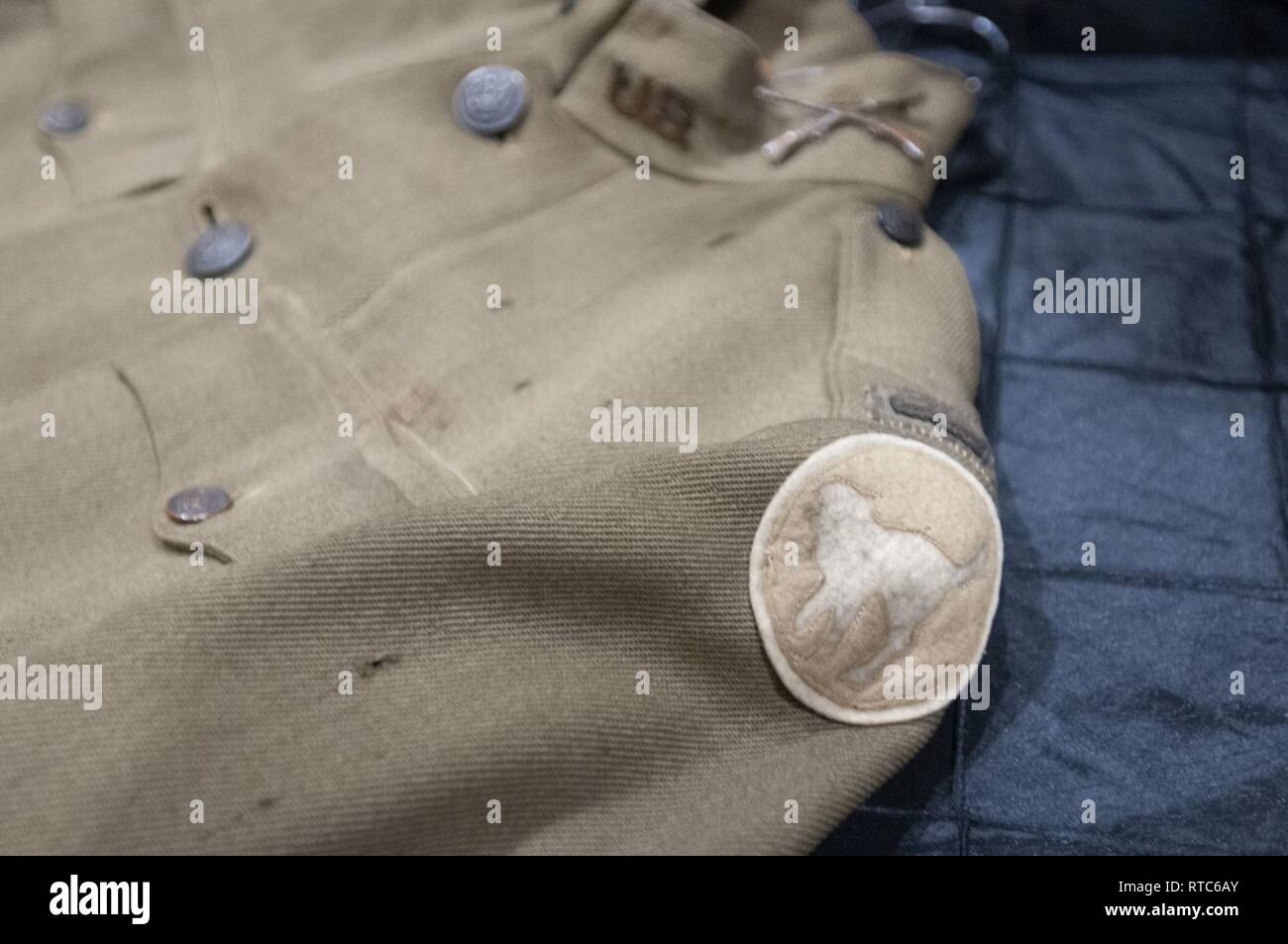 The 81st Readiness Division Soldiers, known as the Wildcats, celebrated ...