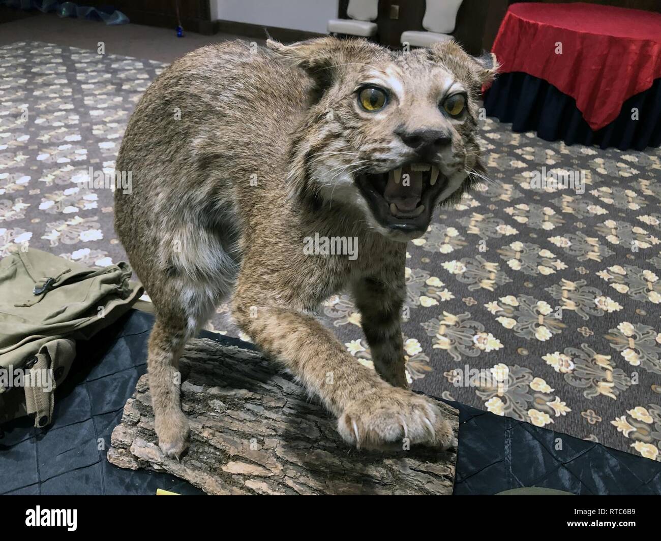 81st readiness division hi-res stock photography and images - Alamy