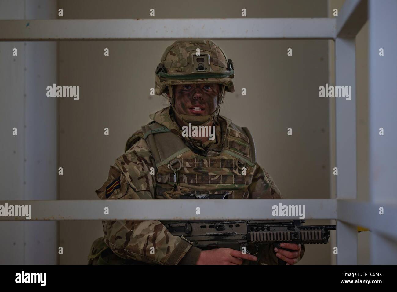 A British Army dog handler from the Royal Army Veterinary Corps ...