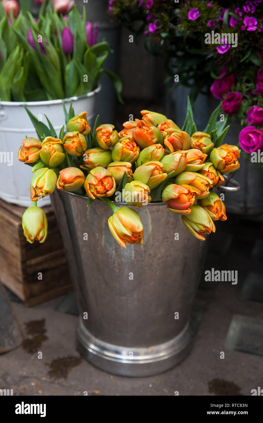 Flowers in zinc bucket hi-res stock photography and images - Alamy