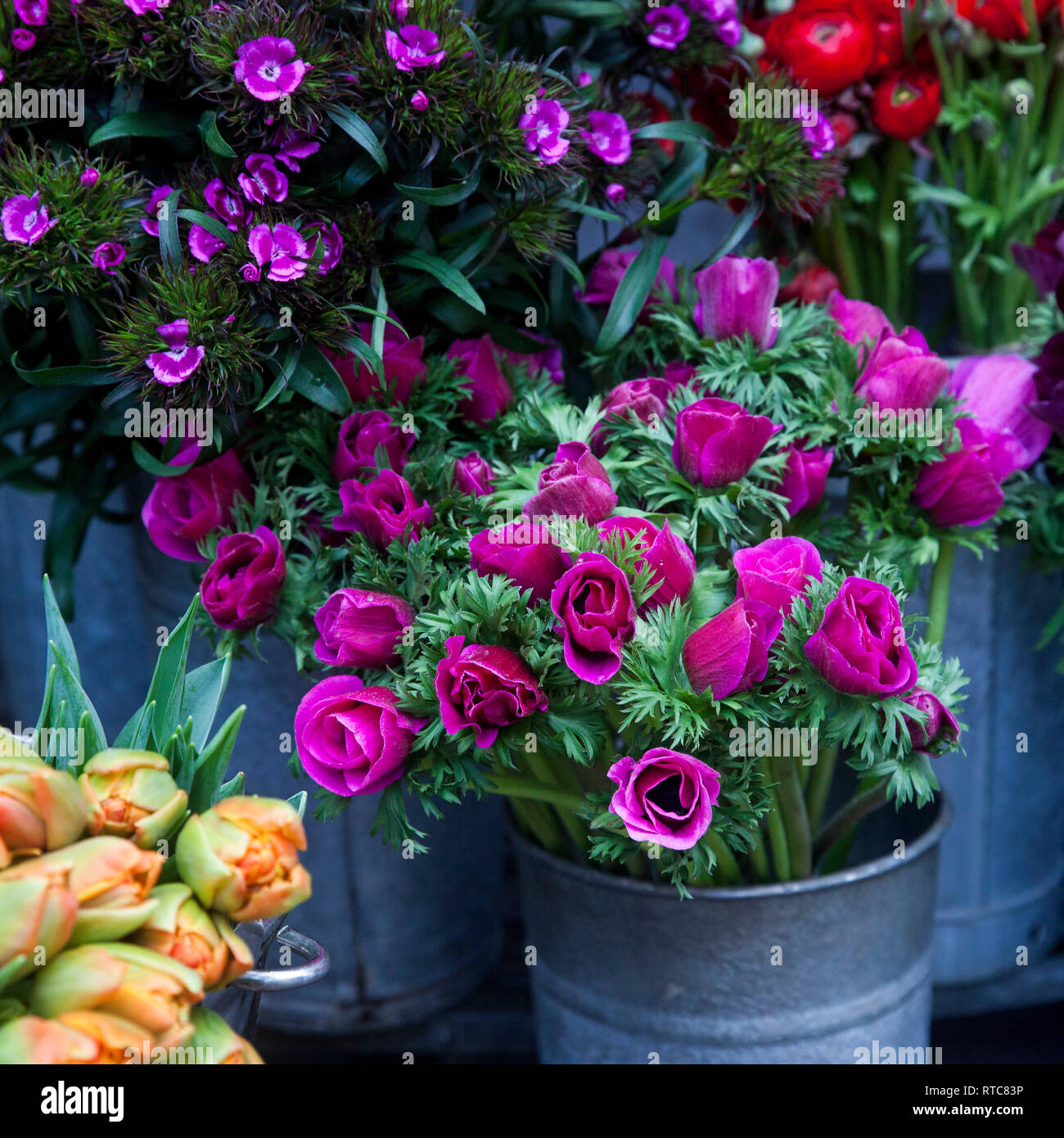 Ranunculus and anemones hi-res stock photography and images - Alamy