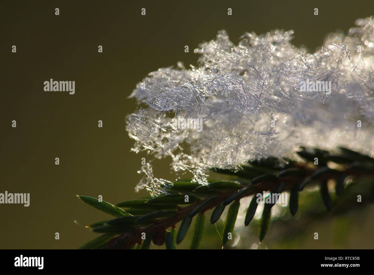 Crystal needles hi-res stock photography and images - Alamy