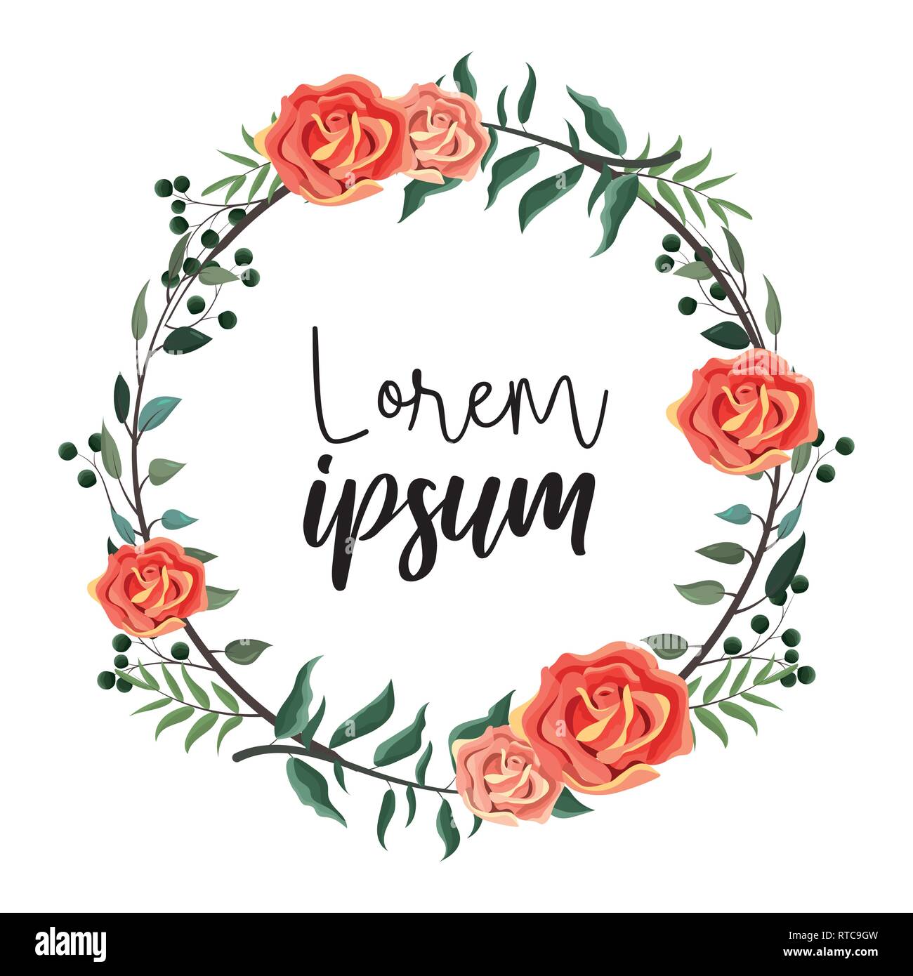 circle branches leaves with roses plants Stock Vector Image & Art - Alamy