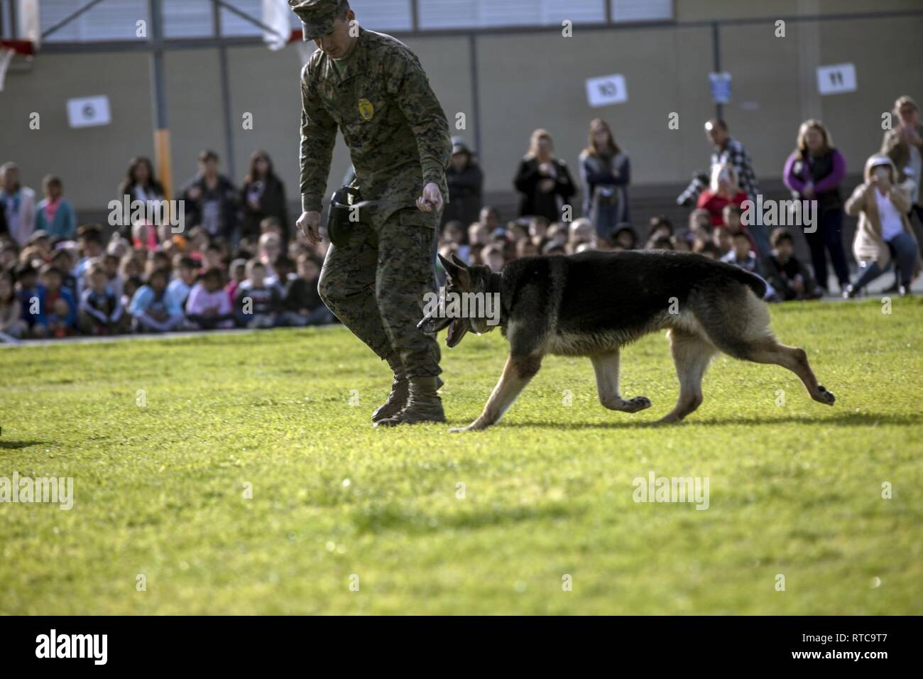 Usmc mwd hi-res stock photography and images - Alamy