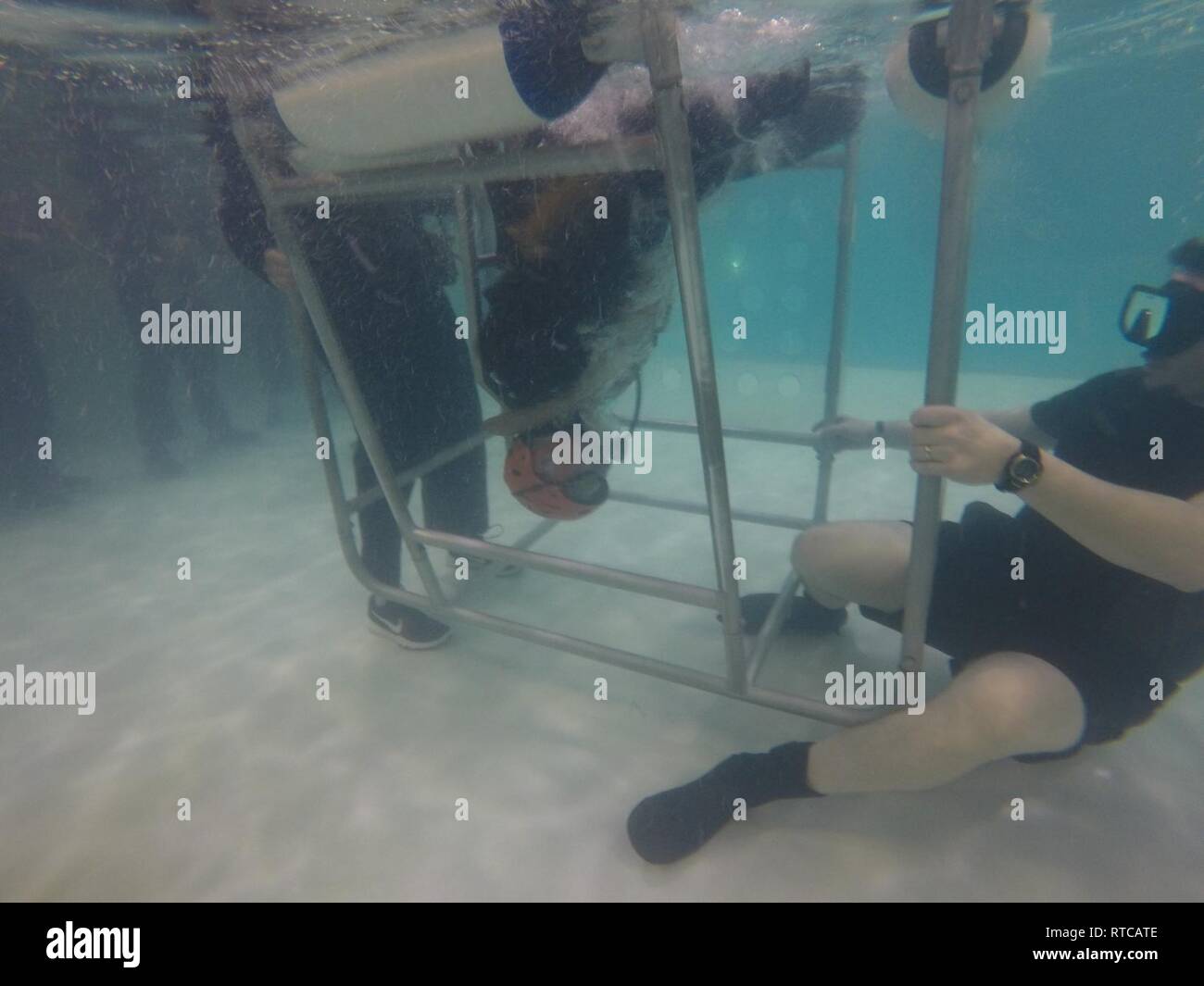 Marines and Sailors complete Underwater Egress Training at Camp Lejeune ...