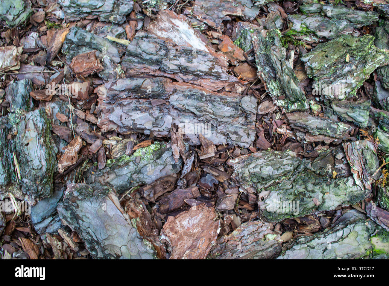 Natural graphic backgrounds Stock Photo - Alamy