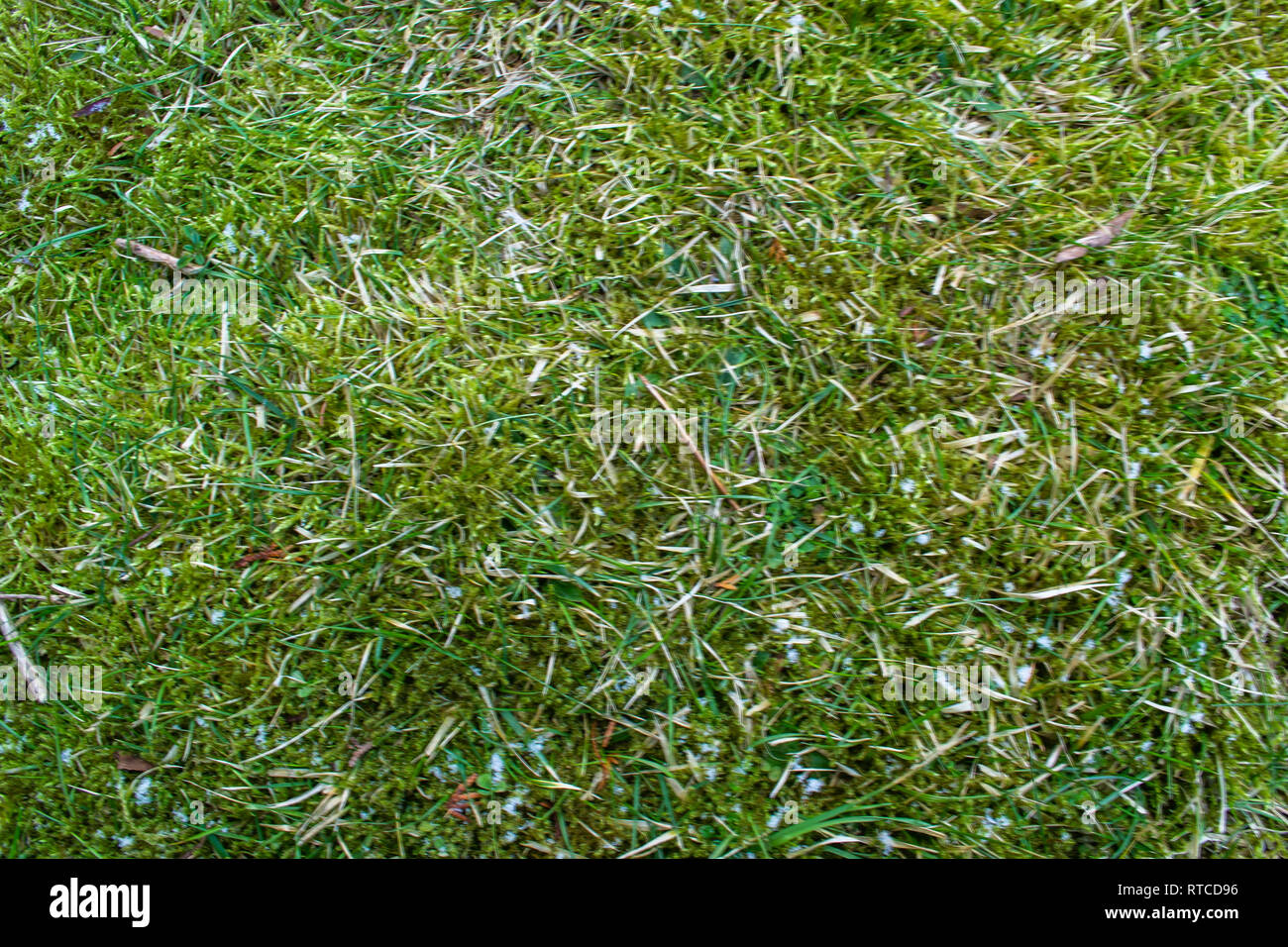 Natural graphic backgrounds Stock Photo - Alamy