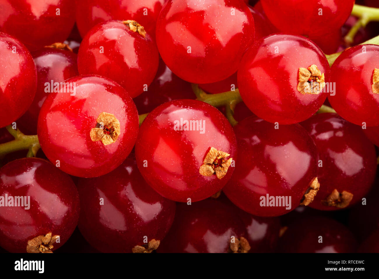 Red current hi-res stock photography and images - Alamy