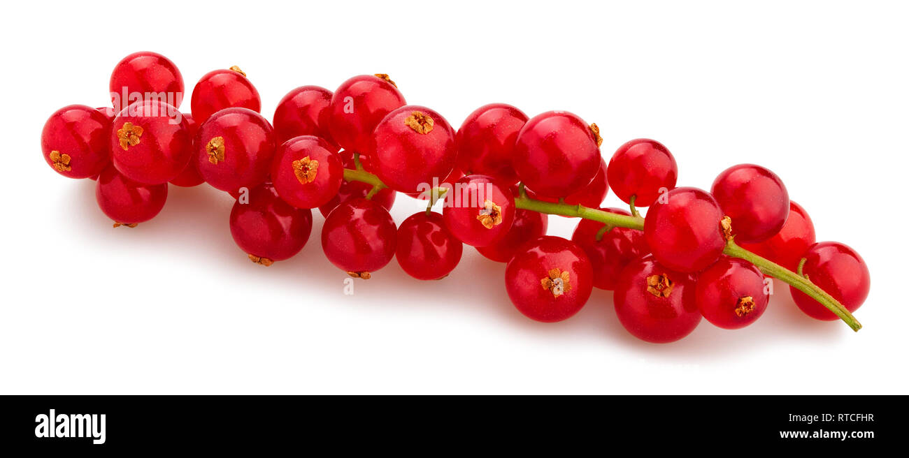 red current path isolated Stock Photo - Alamy