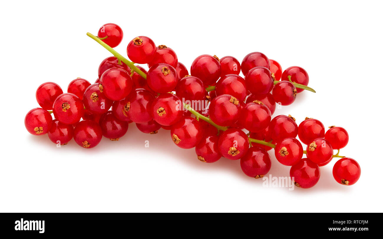 red current path isolated Stock Photo - Alamy